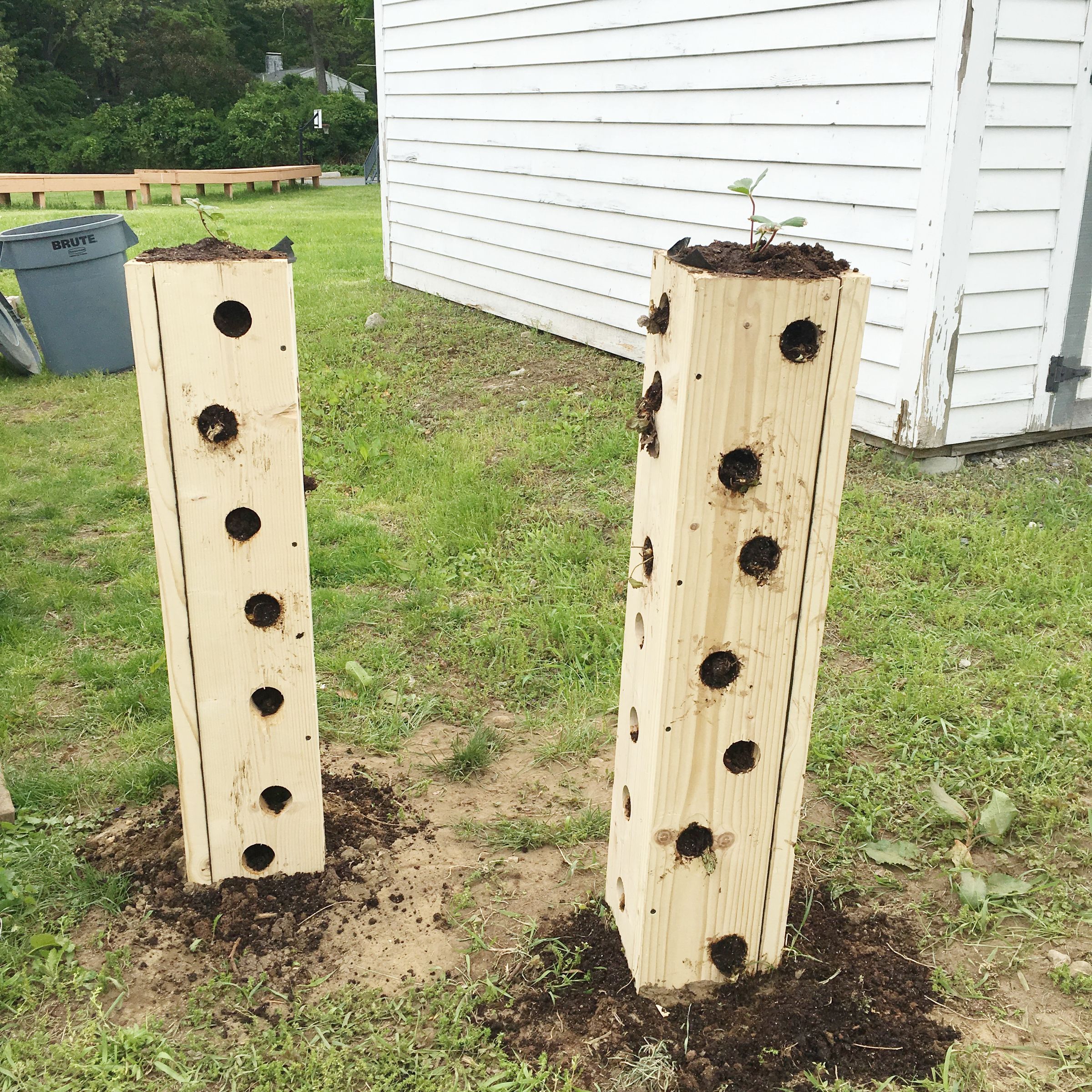 Tech & Engineering Class: Strawberry Towers : 8 Steps (with Pictures ...