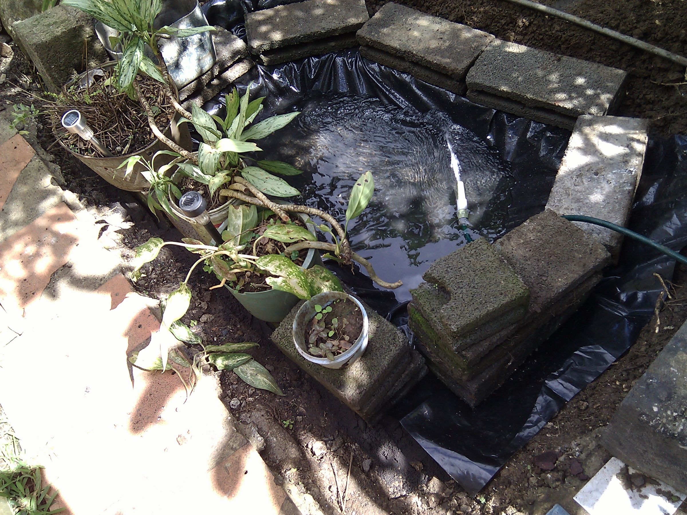 Concrete Pond : 9 Steps (with Pictures) - Instructables