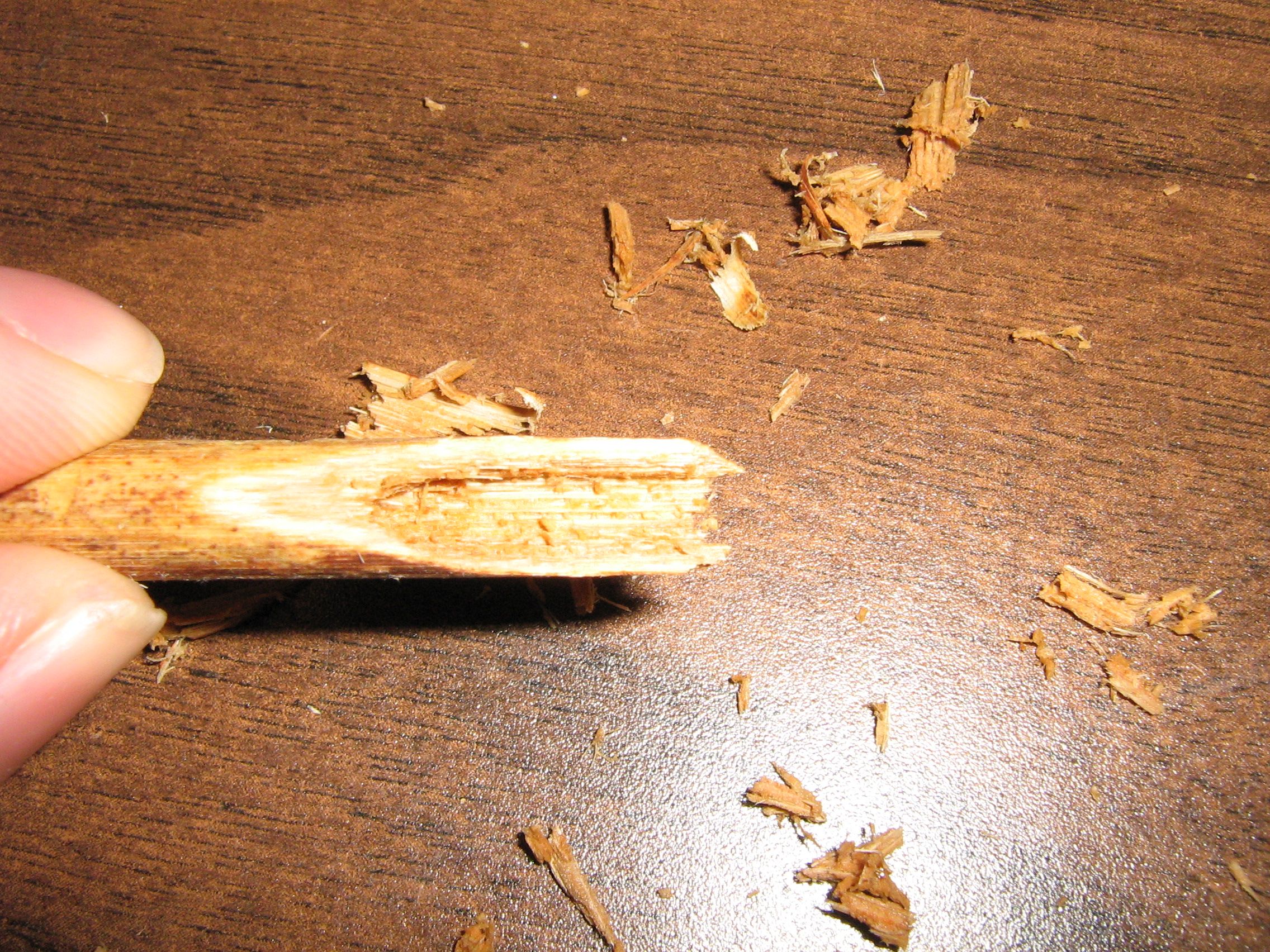 Make a Calligraphy Pen Out of a Bulrush (cattail) Reed : 11 Steps (with ...