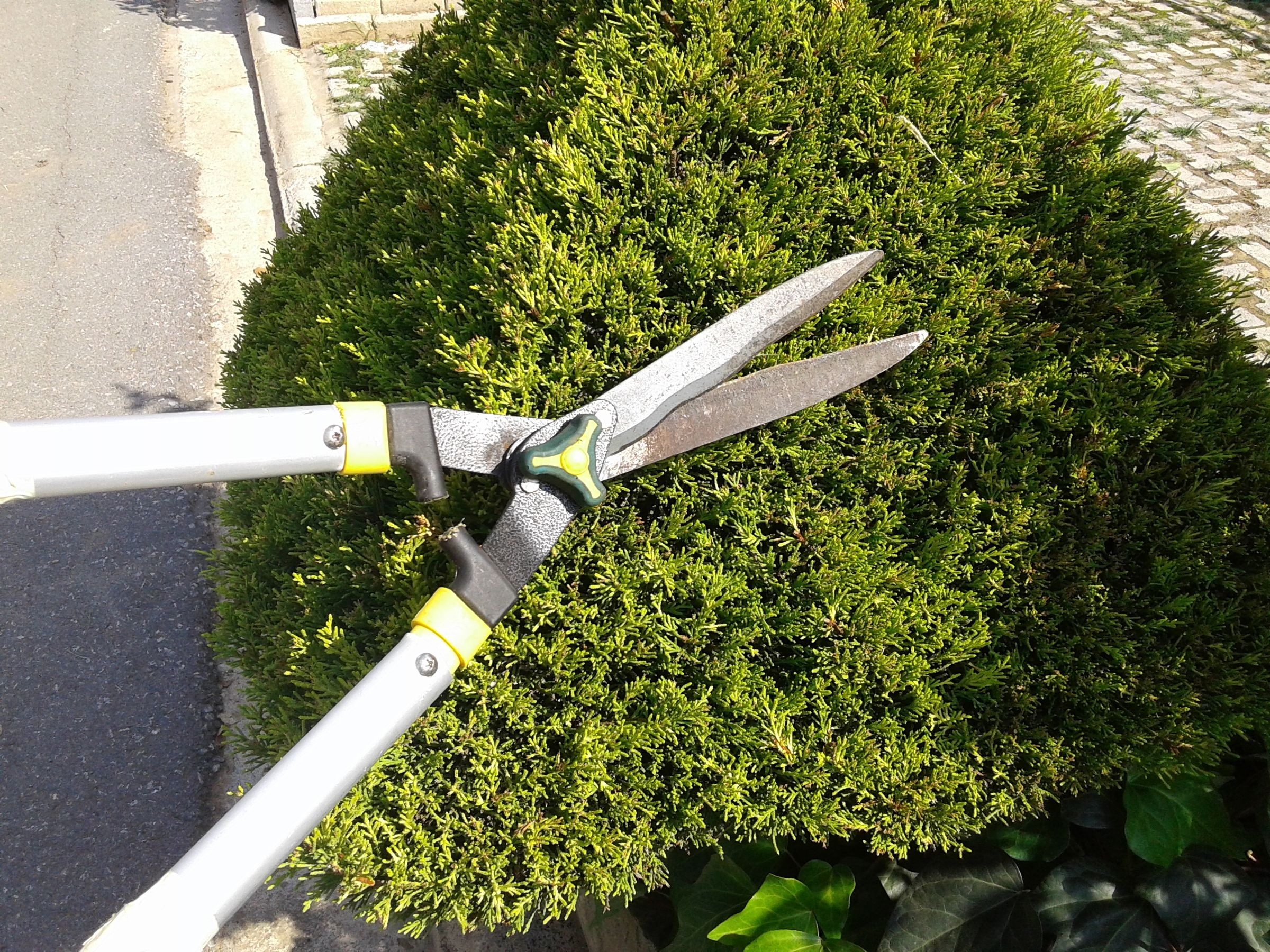 Bush Trimming - Instructables