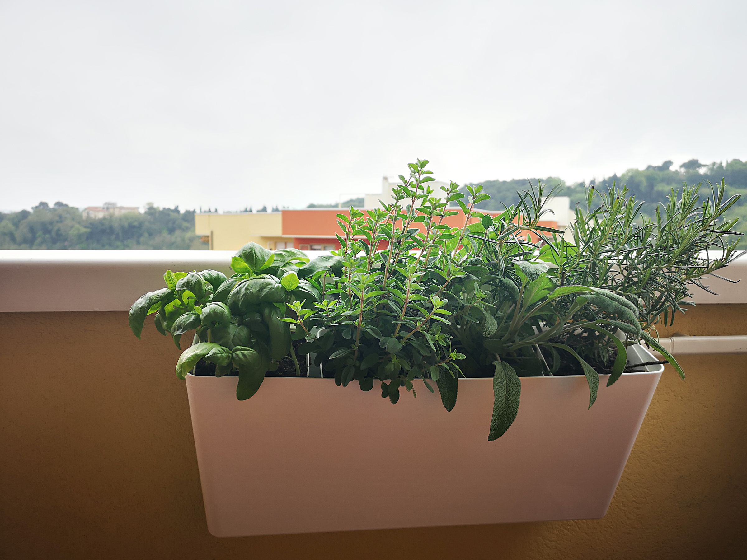 IKEA Self Watering System : 9 Steps (with Pictures) - Instructables
