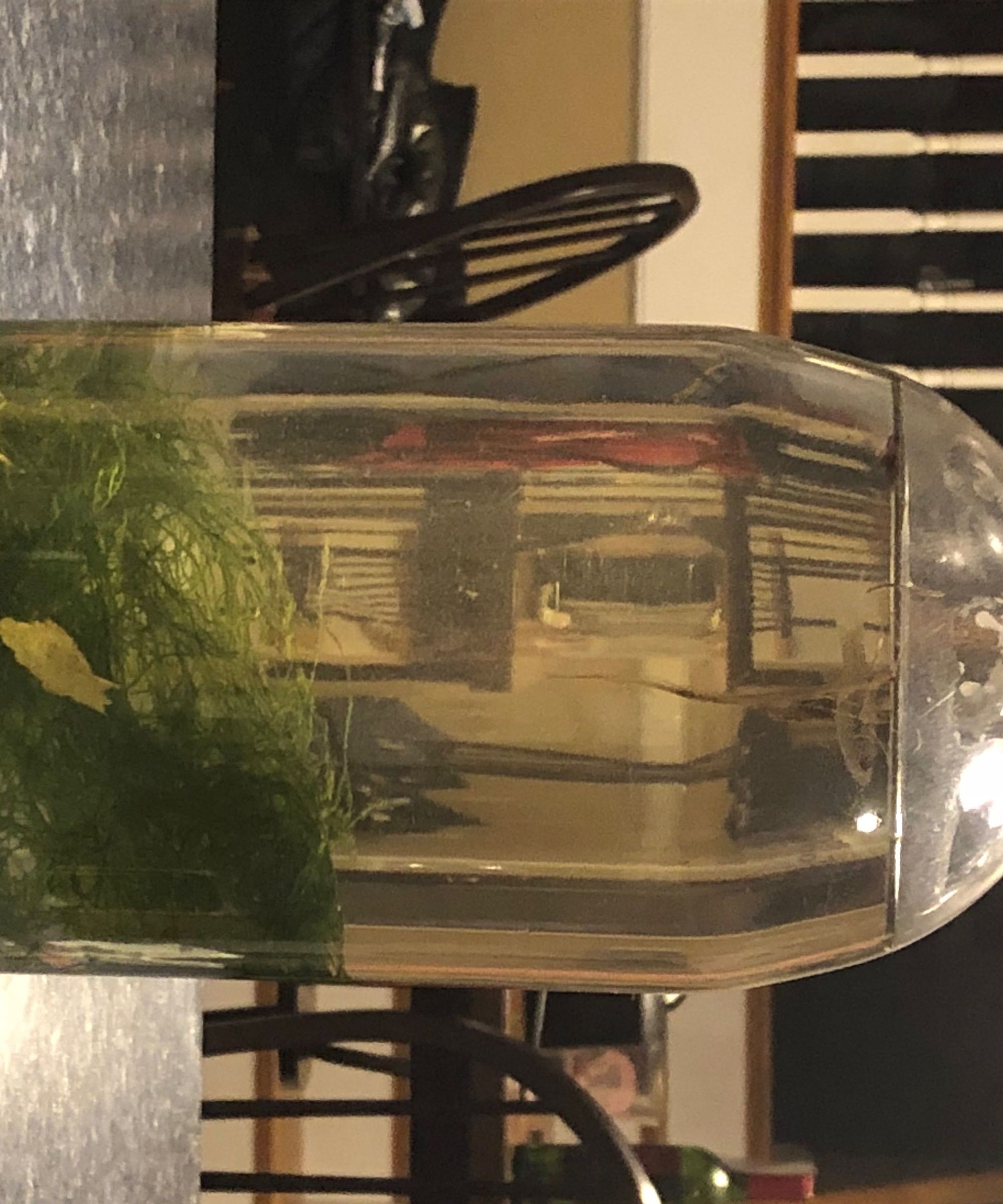 A Closed Ecosystem : 9 Steps - Instructables