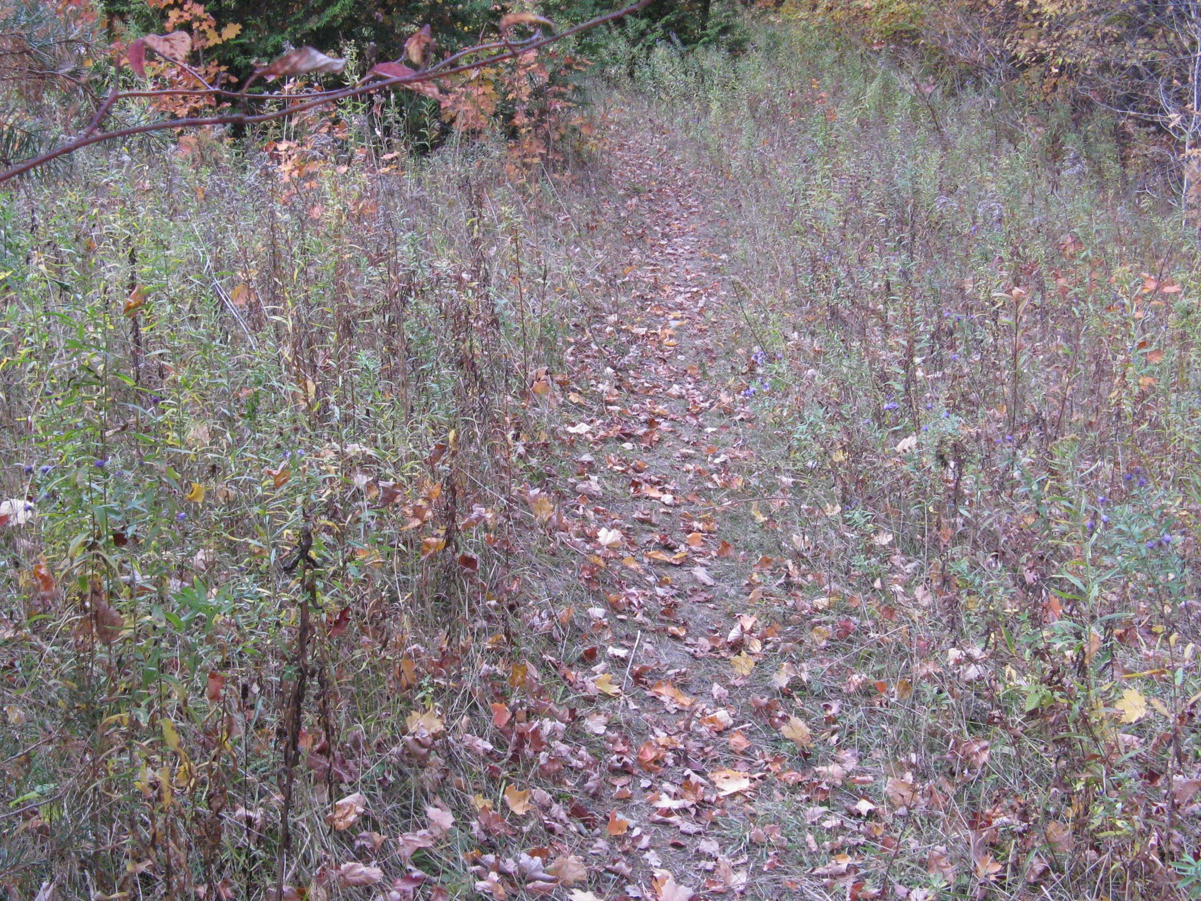 Snaring : 9 Steps (with Pictures) - Instructables