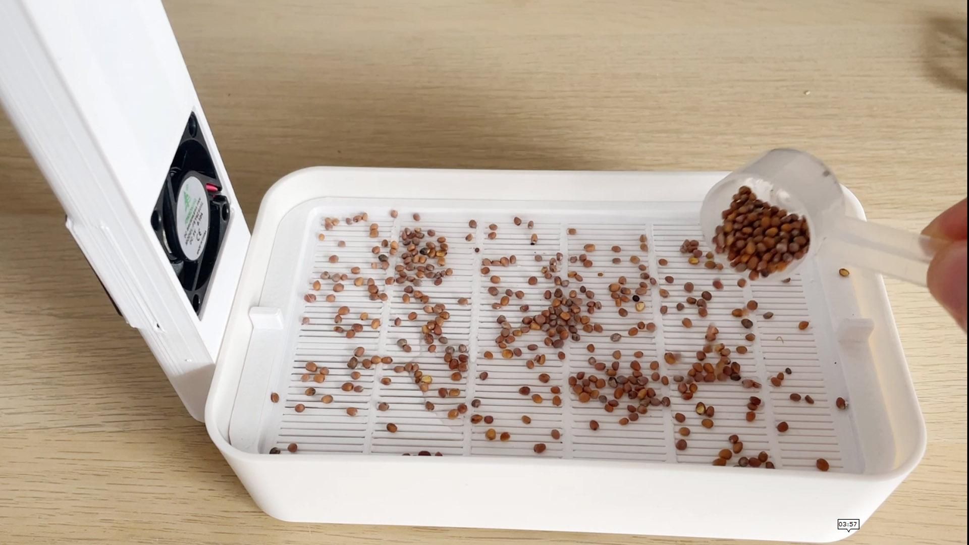 Growing Microgreens at Home DIY : 5 Steps (with Pictures) - Instructables