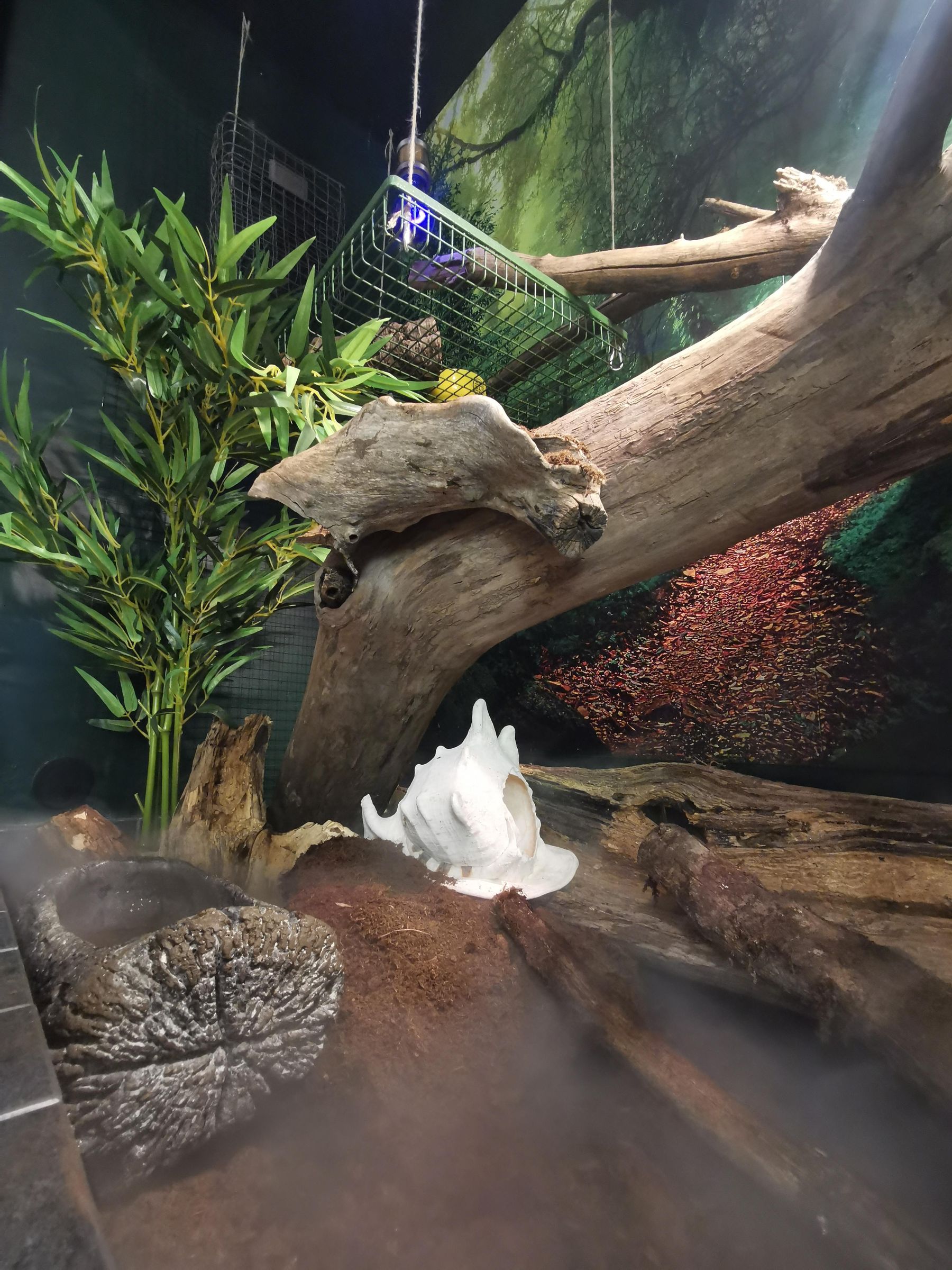 Vivarium for a Reptile : 12 Steps (with Pictures) - Instructables