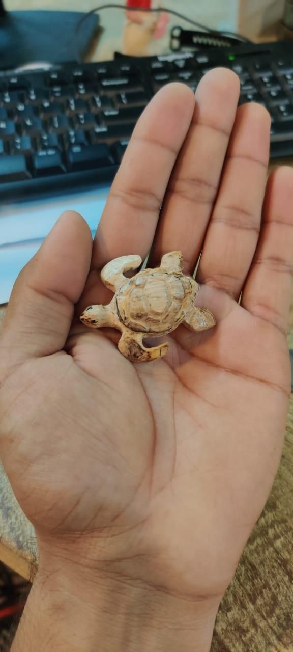 Easy Carved Wooden Turtle DIY : 3 Steps (with Pictures) - Instructables