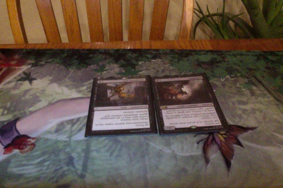 How to Build a Magic the Gathering Deck : 8 Steps (with Pictures ...