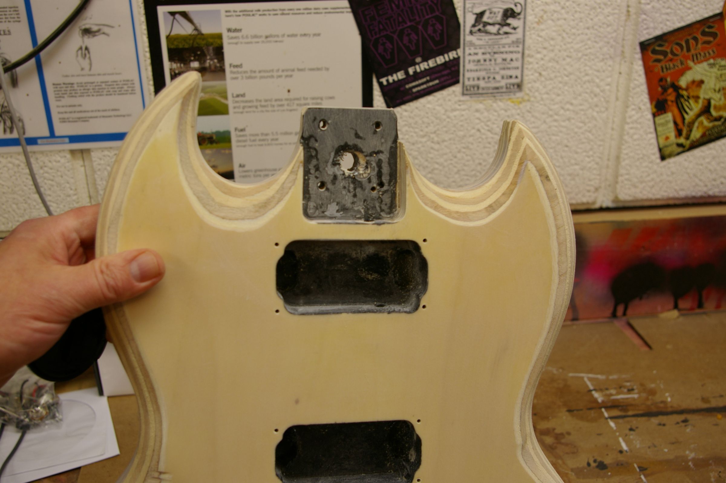 Refinish and Reshape a Solid Body Electric Guitar : 9 Steps (with ...
