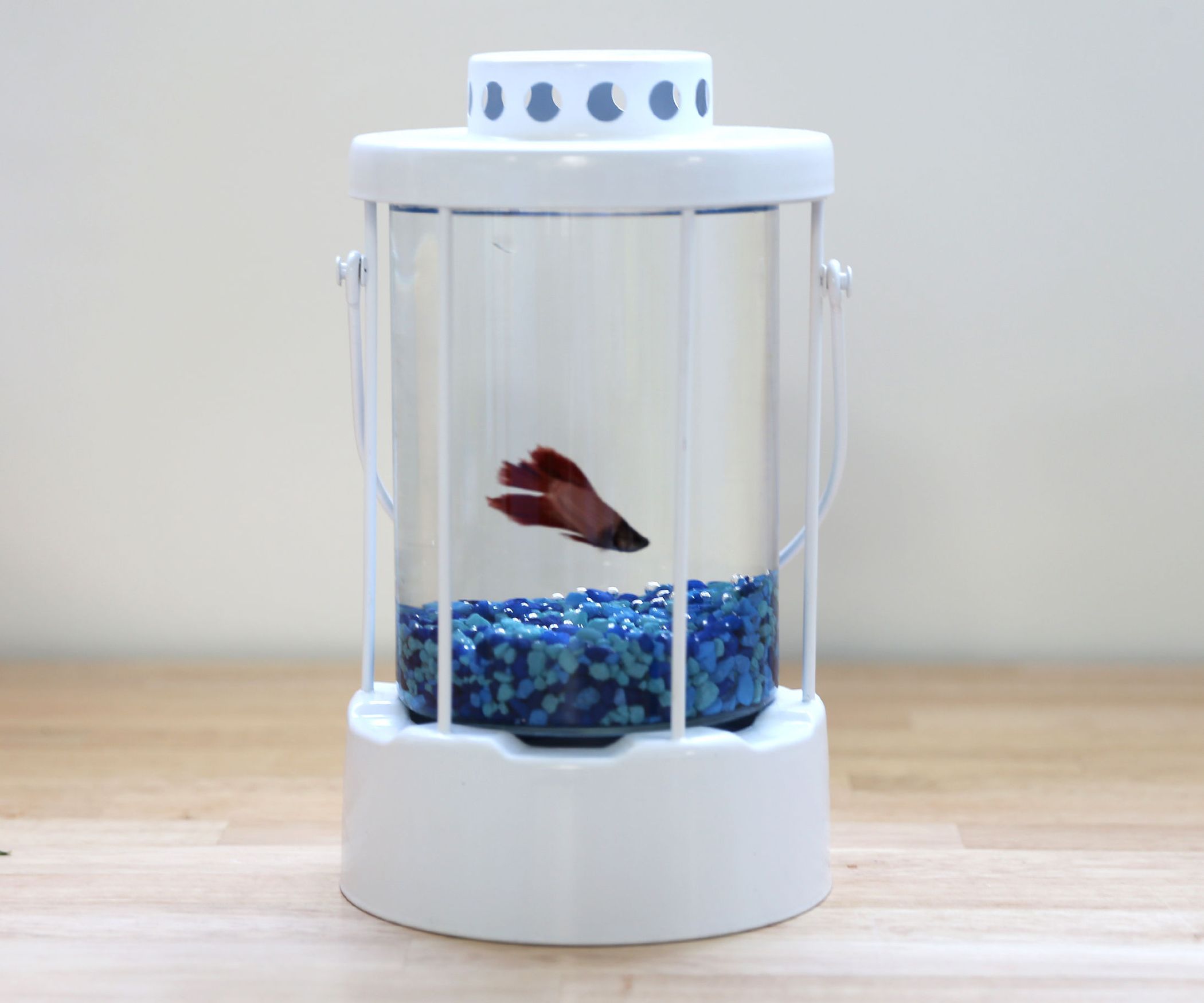 Lantern Fishbowl : 7 Steps (with Pictures) - Instructables