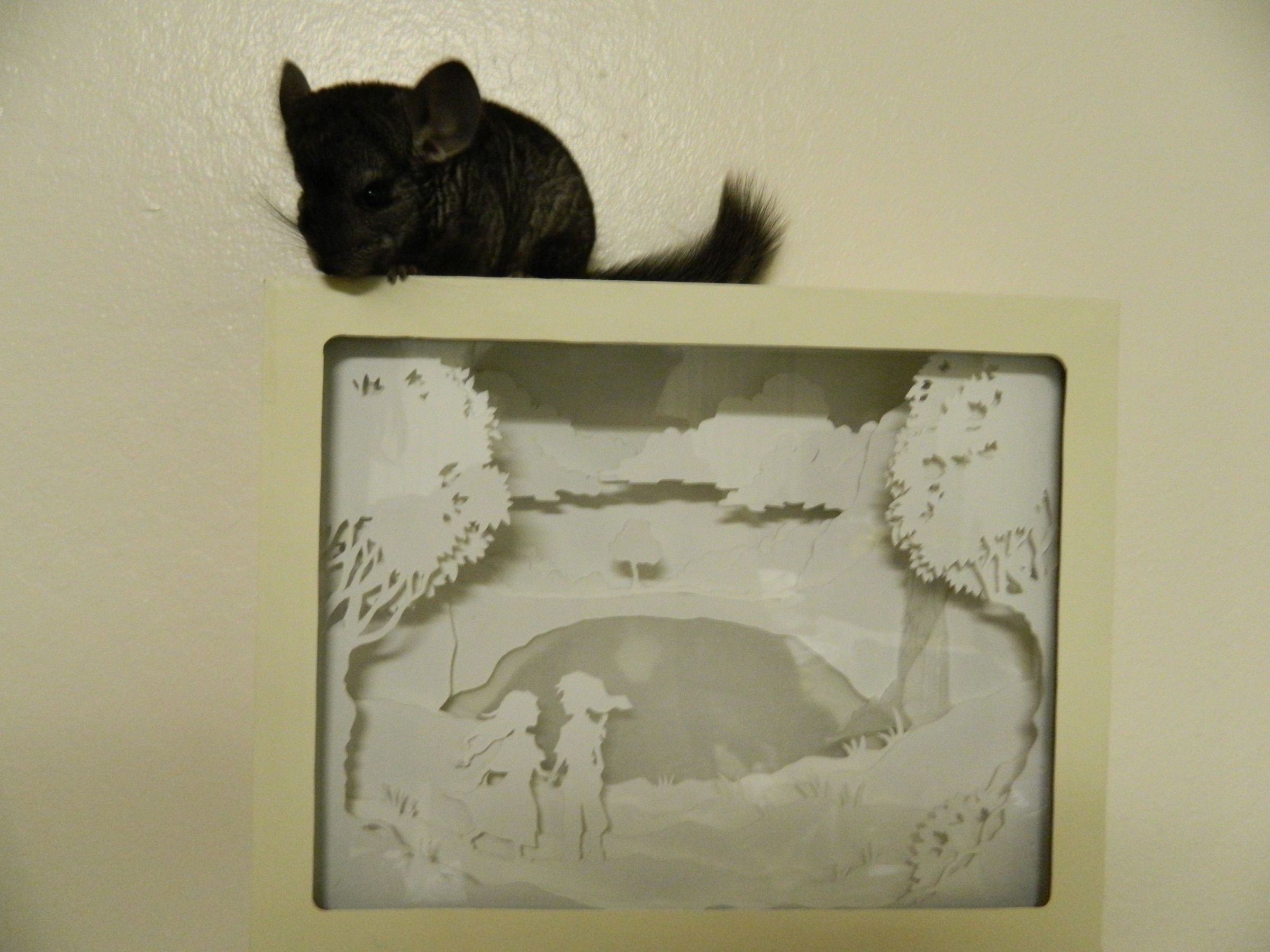 Solar System Shadow Box Project