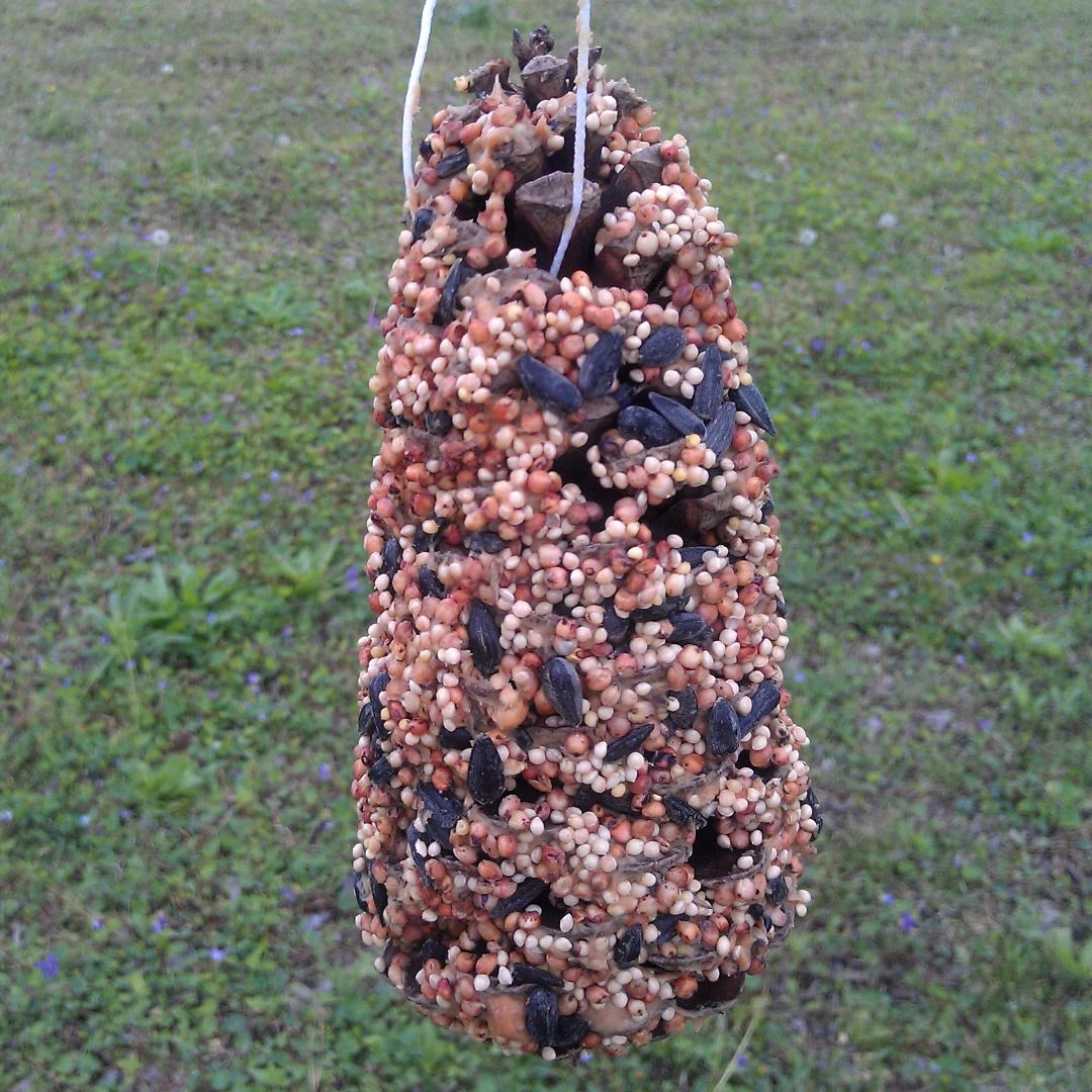 DIY Bird Feeder : 4 Steps (with Pictures) - Instructables
