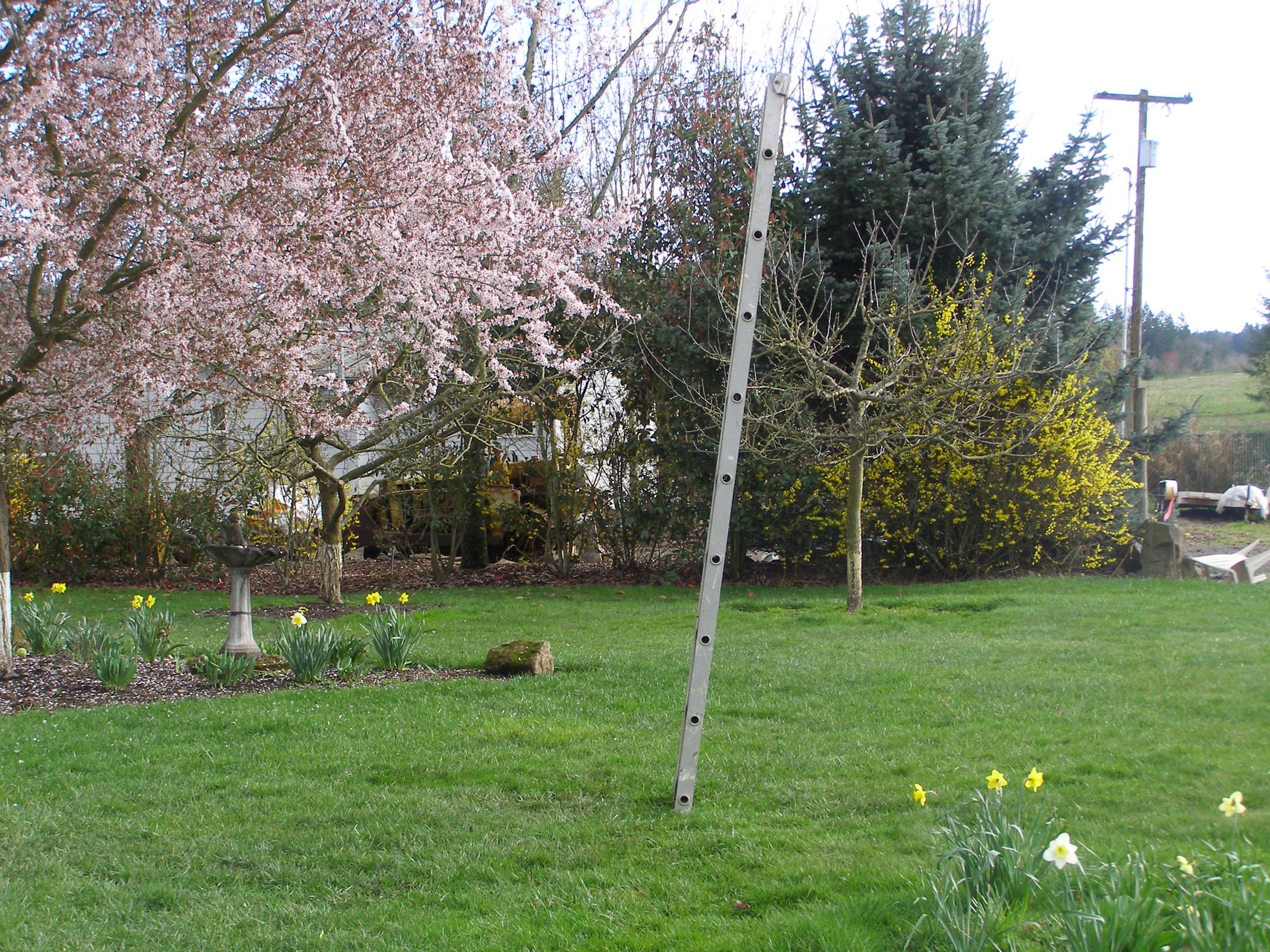 How to "balance" on a Ladder : 5 Steps - Instructables