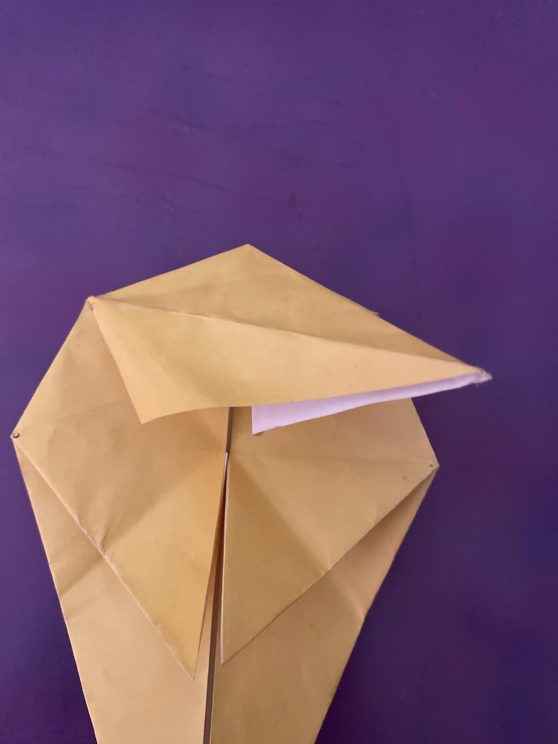 Origami Rat : 27 Steps - Instructables