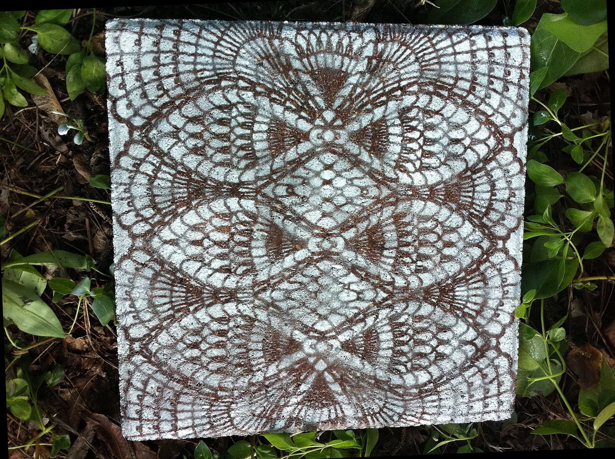 How to Make Lace-like Stepping Stones : 11 Steps (with Pictures ...
