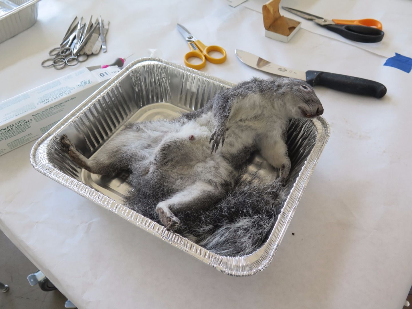 (Pier9 AiR) How to Make Friends and Skin Things | Part 2: Skinning ...