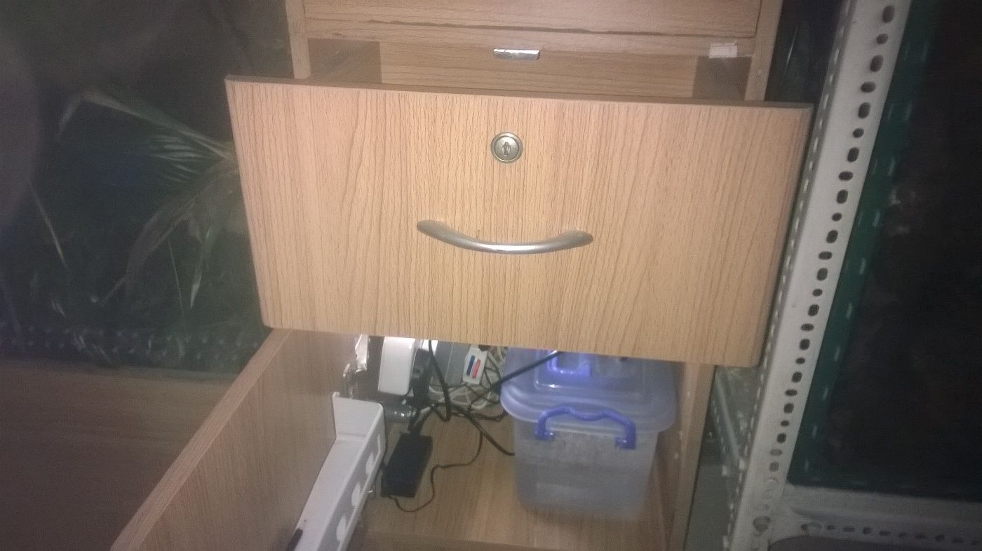 Converting Clothes Cabinet Into a Multiple Vivarium Enclosure : 23 ...