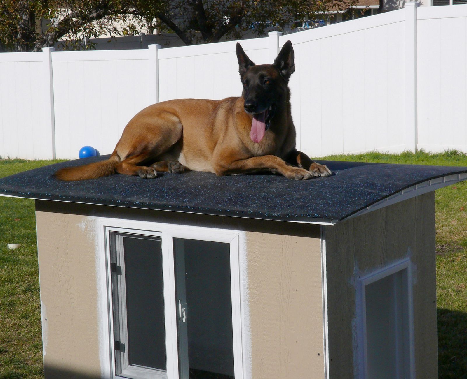 The Dog Mansion - or - Knock-Down Dog House : 6 Steps (with Pictures ...
