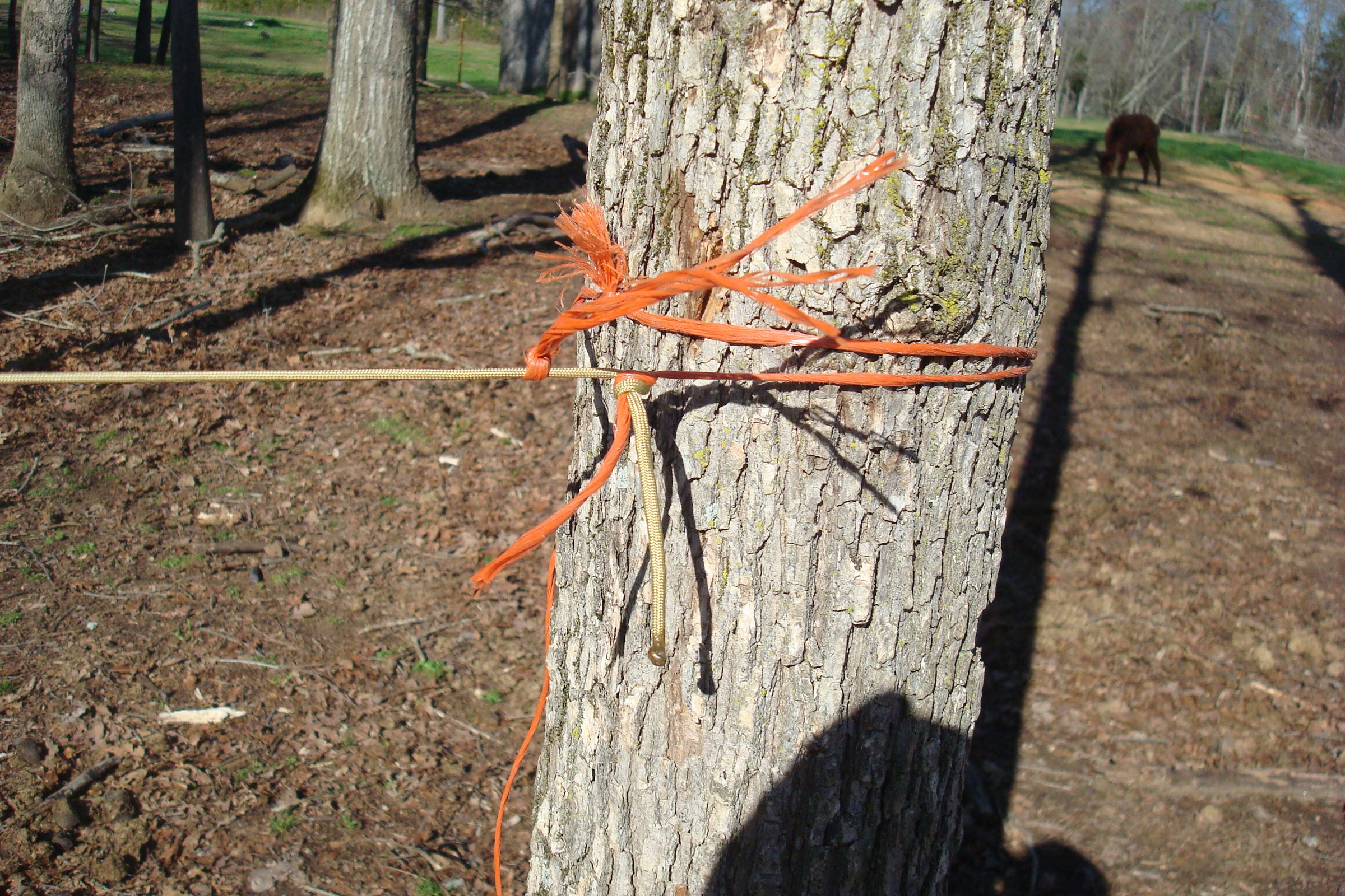 Paracord Tent Or, Hobos Tent : 5 Steps - Instructables