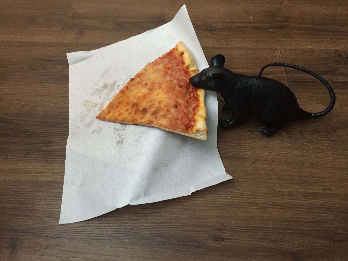 Pizza Rat : 4 Steps (with Pictures) - Instructables