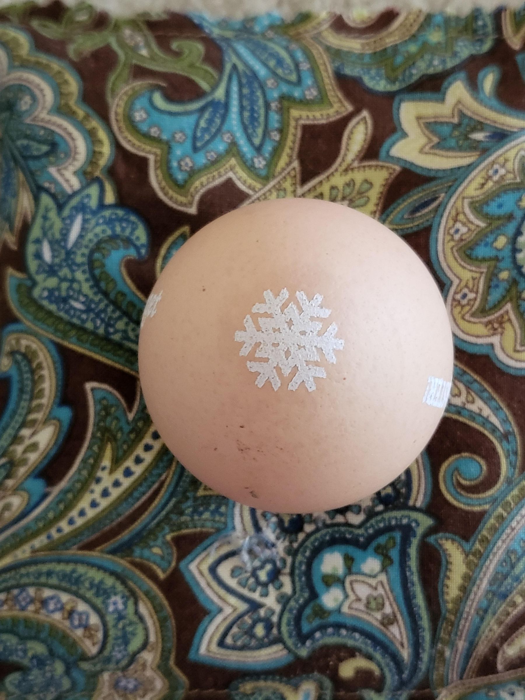 Laser-engraved Eggs : 5 Steps - Instructables