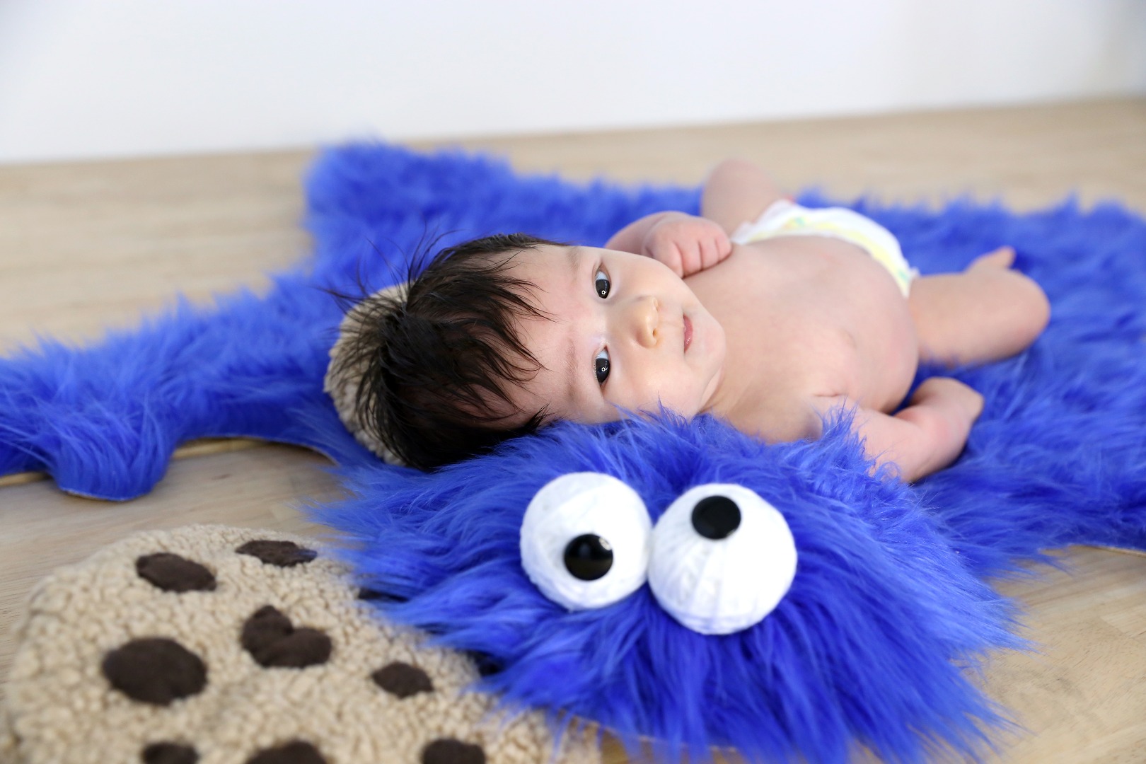 Cookie Monster Rug : 21 Steps (with Pictures) - Instructables