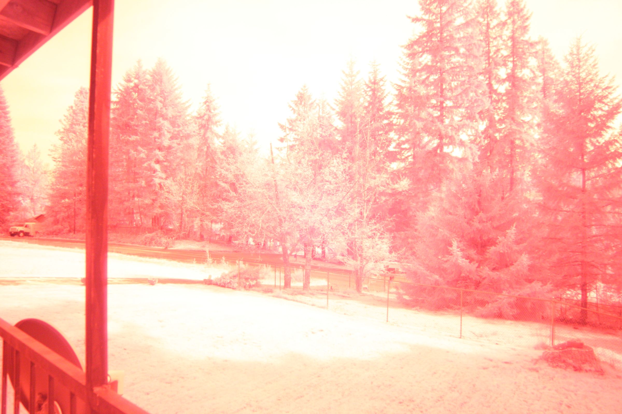 (near) Infrared Photography : 6 Steps - Instructables