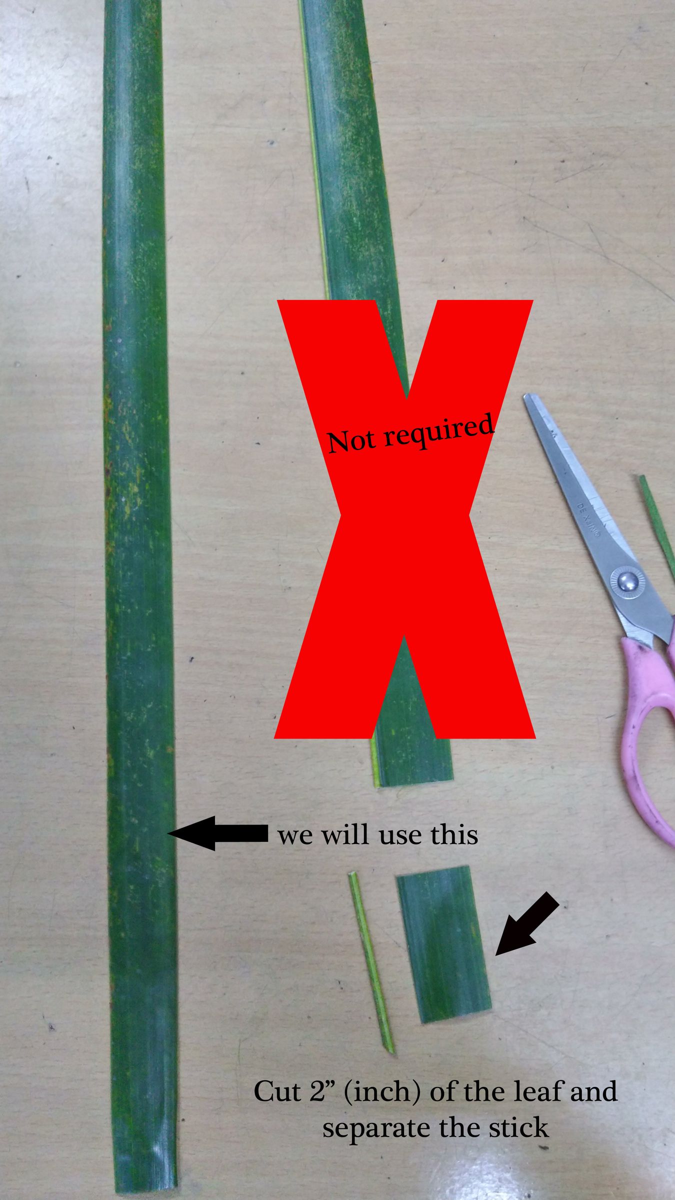 Coconut Leaf Whistle Instrument : 6 Steps - Instructables