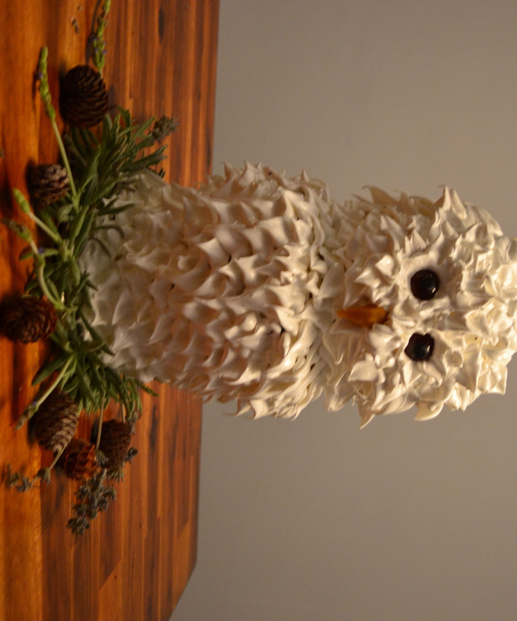 The Drunken Owl : 5 Steps (with Pictures) - Instructables