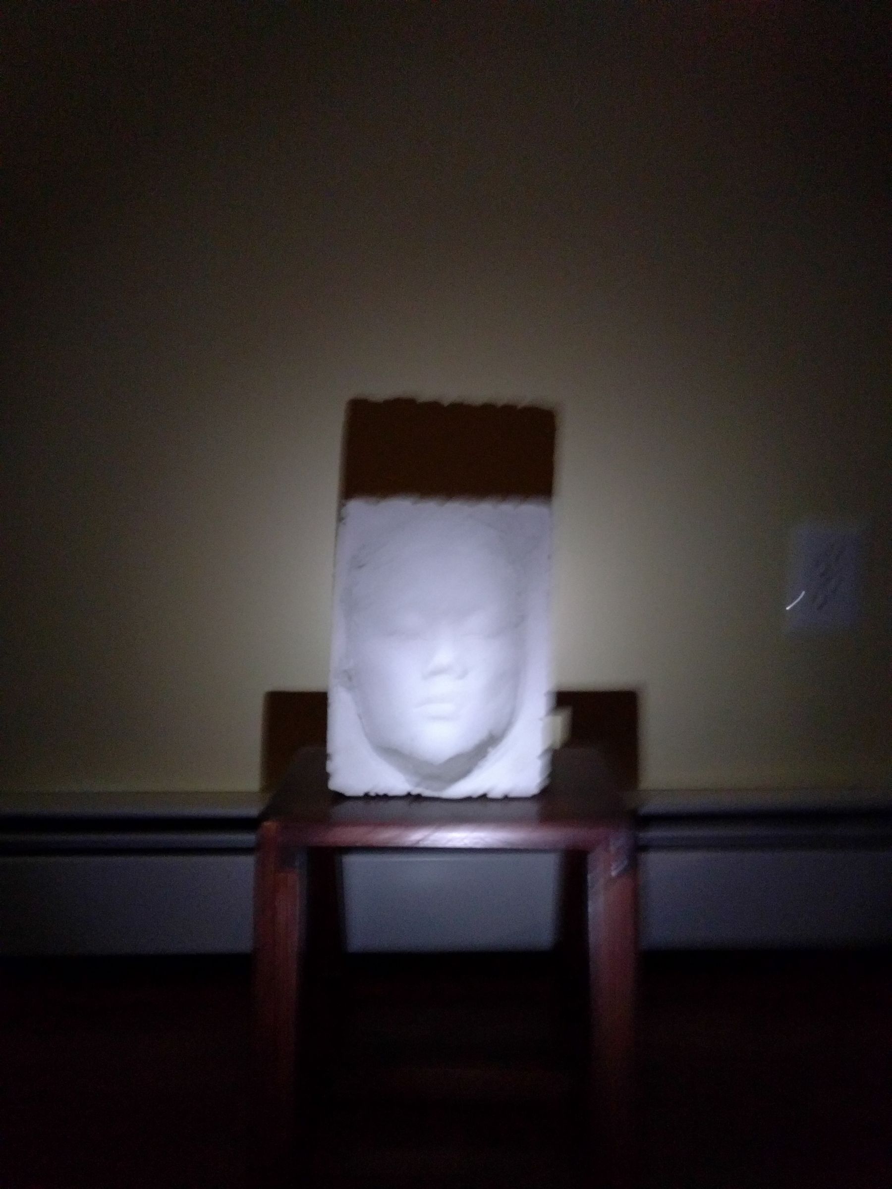 DIY Hollow Face Illusion! : 7 Steps (with Pictures) - Instructables
