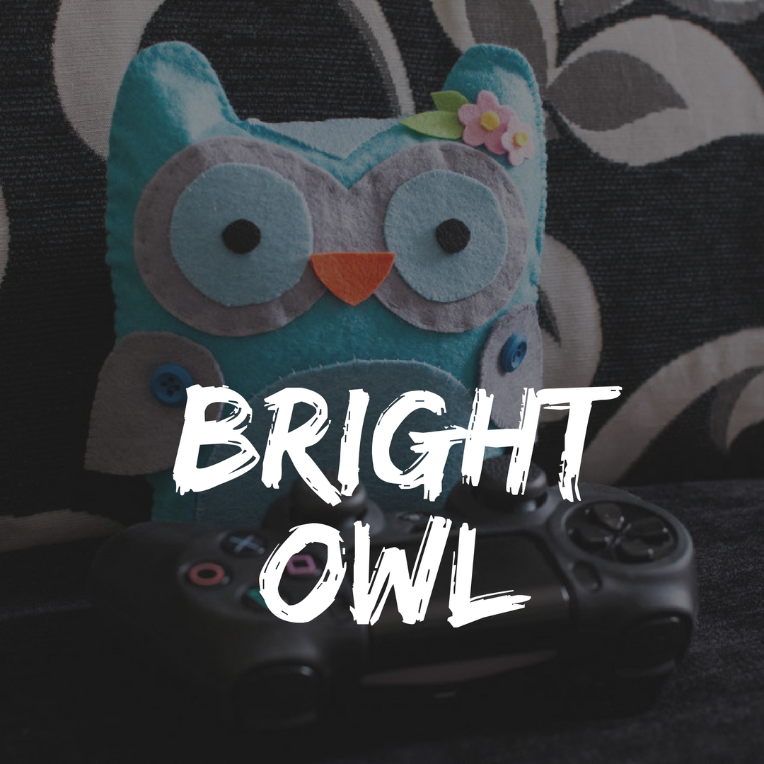 Bright Owl : 4 Steps (with Pictures) - Instructables