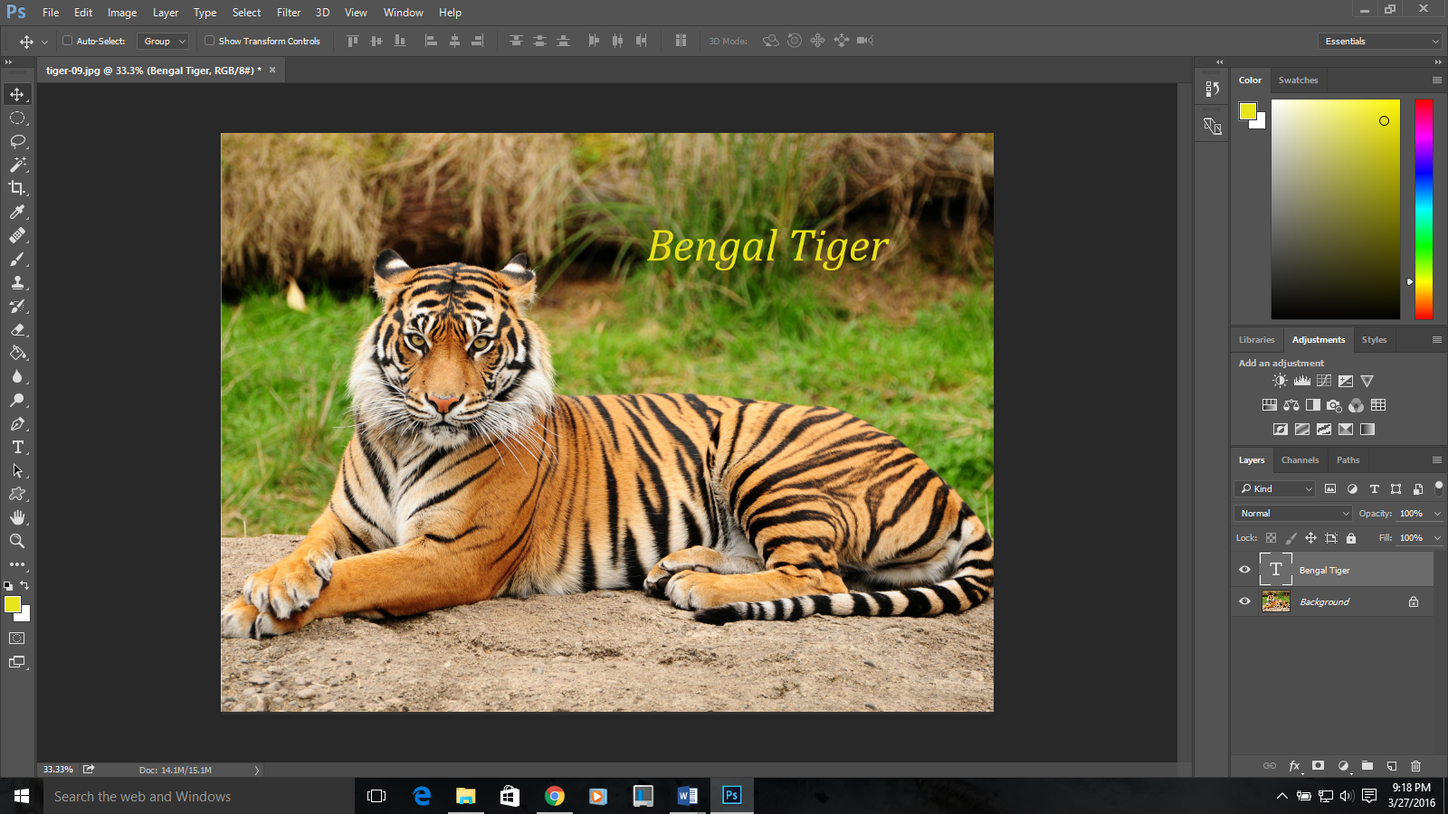 Learning the Basics of Adobe Photoshop : 6 Steps - Instructables