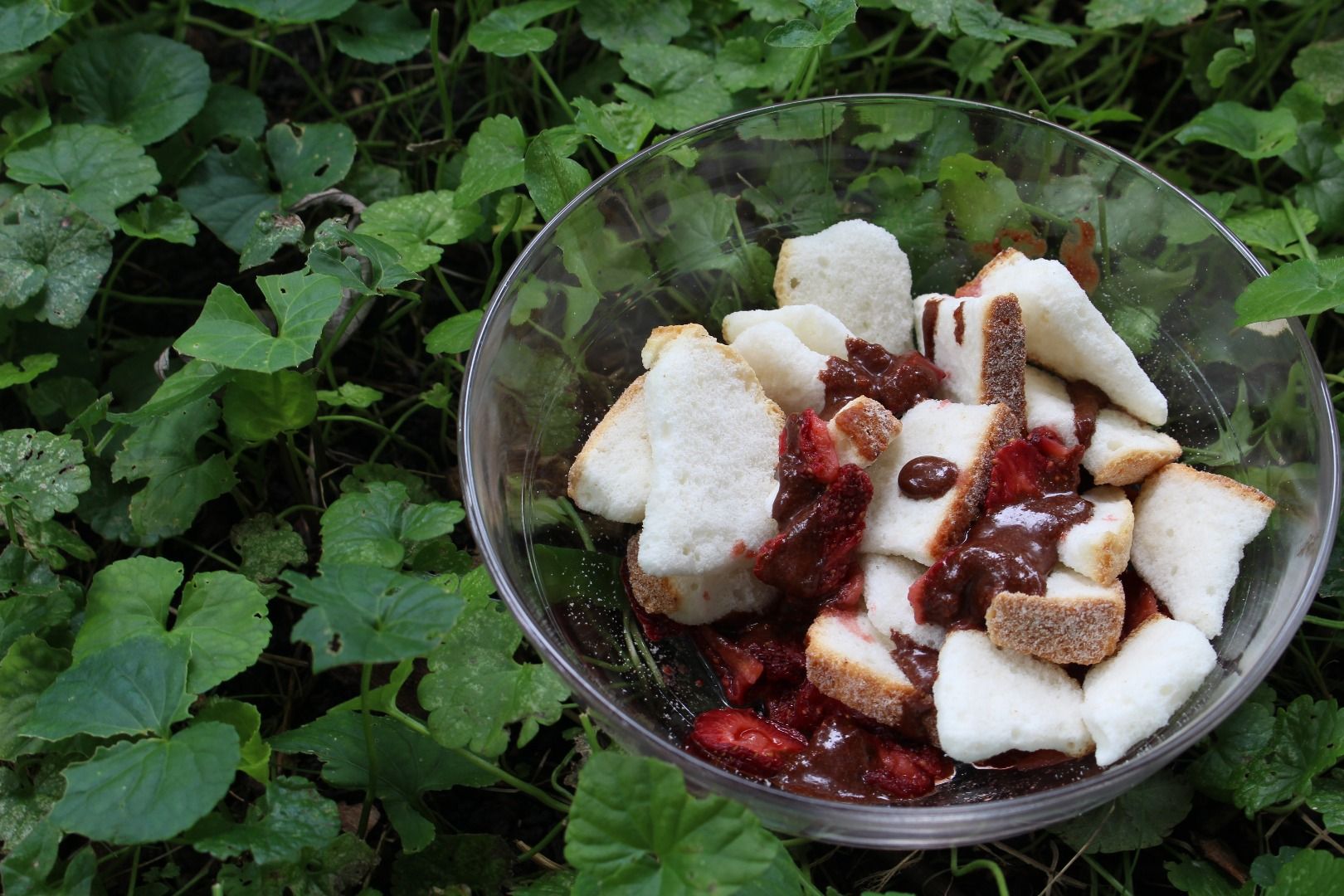 Gourmet Backpacking Desserts : 19 Steps (with Pictures) - Instructables