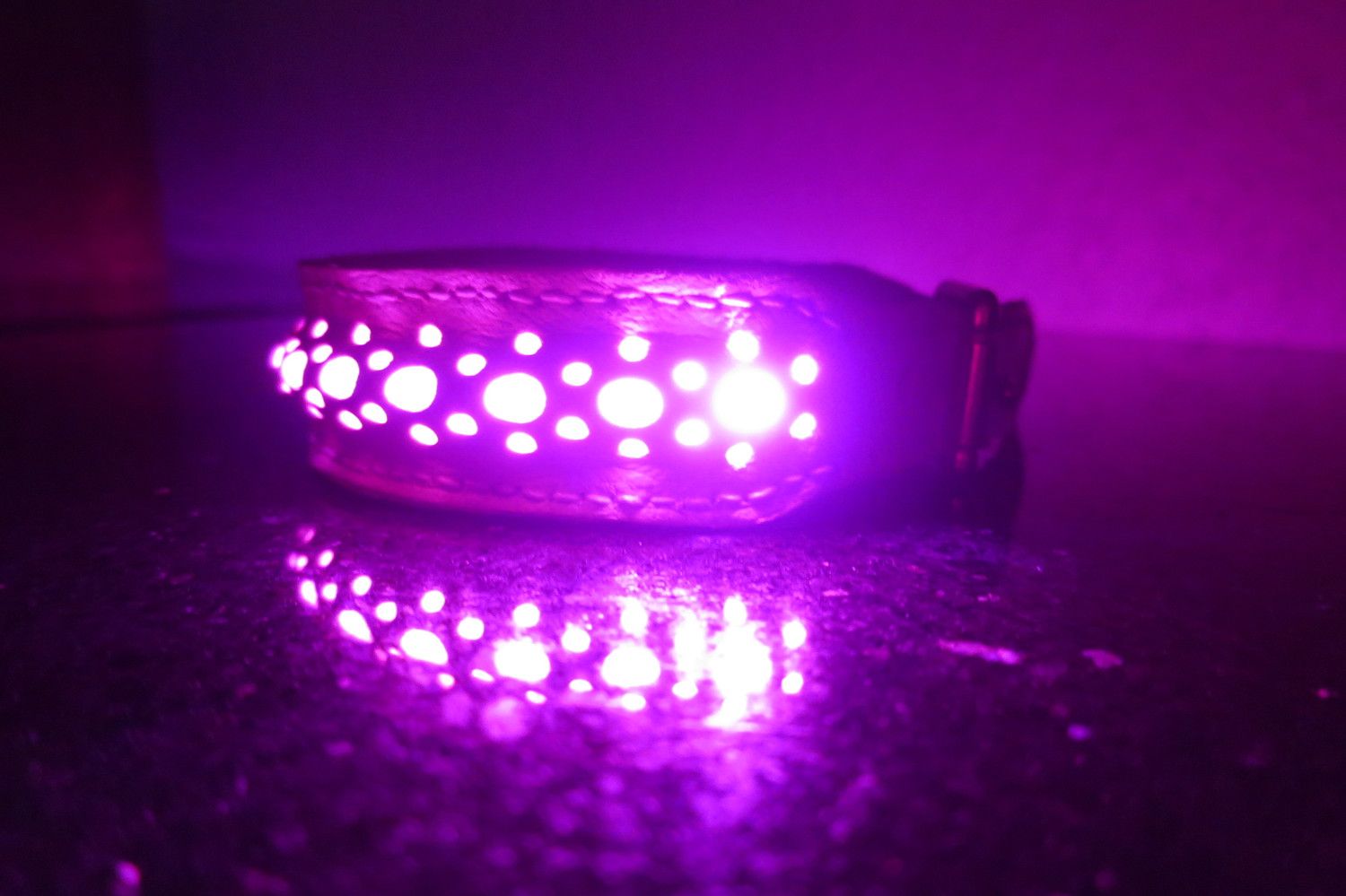 Leather Light-Emitting (LED) Dog Collar : 11 Steps (with Pictures ...
