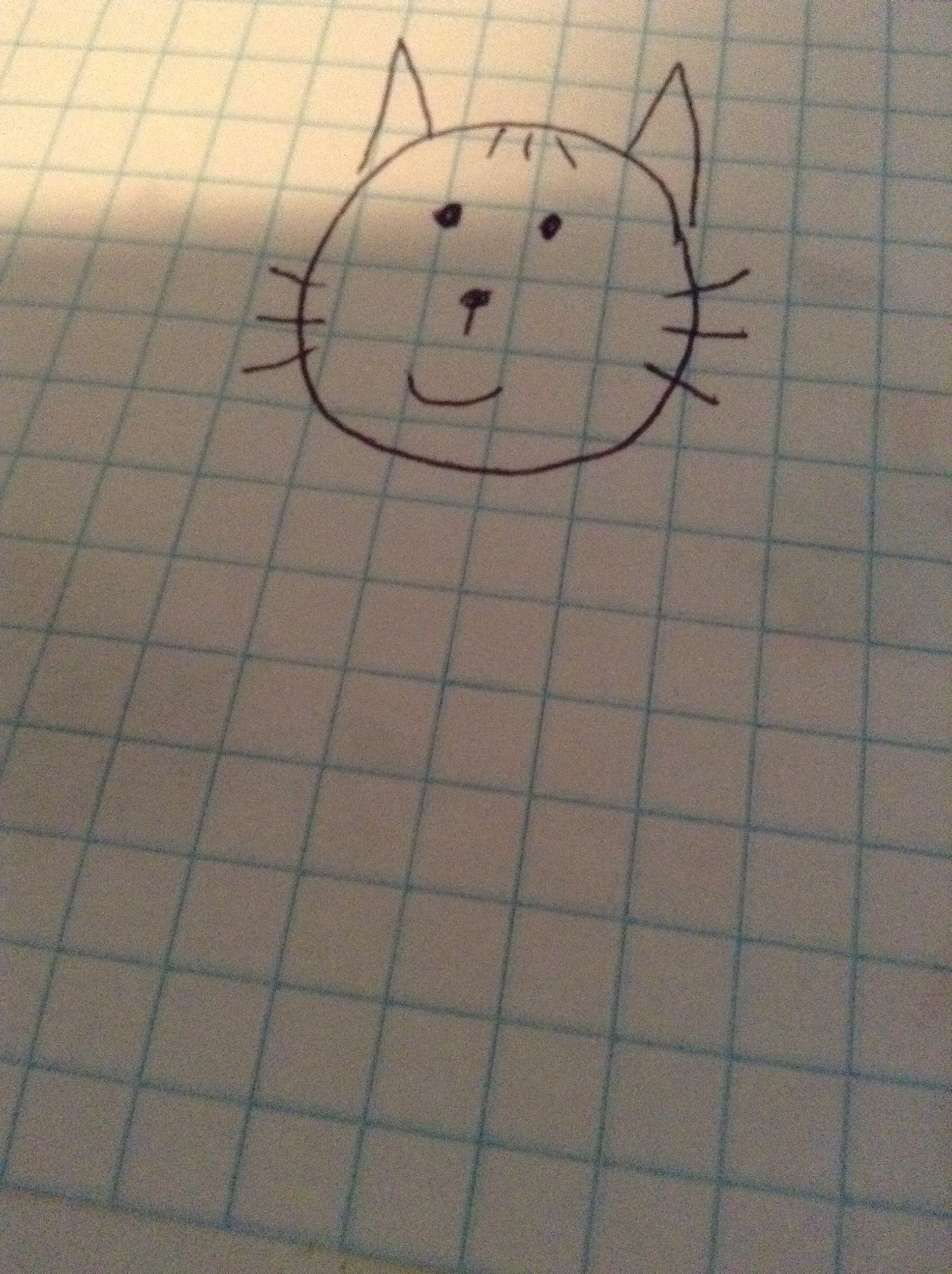 Draw a Cat : 6 Steps - Instructables