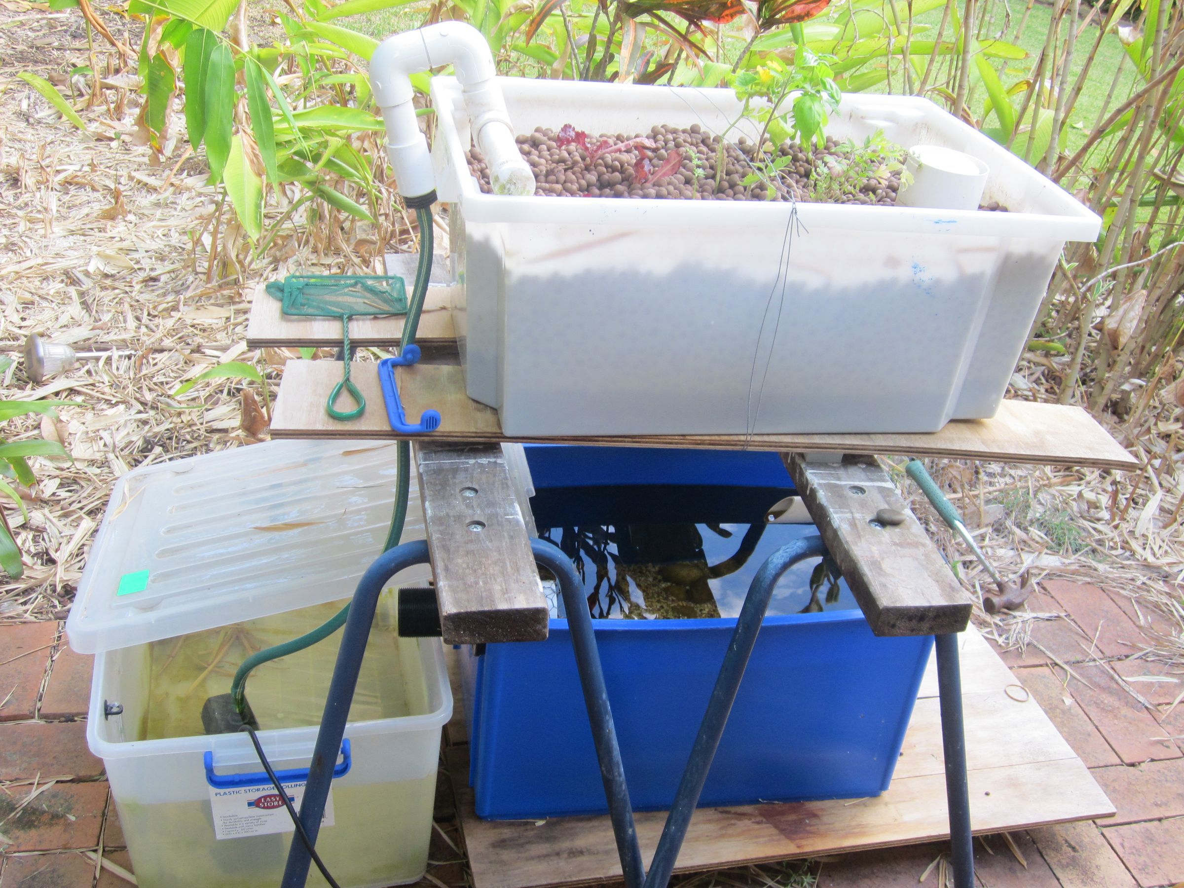 Simple Arduino Controlled Aquaponic System : 8 Steps - Instructables