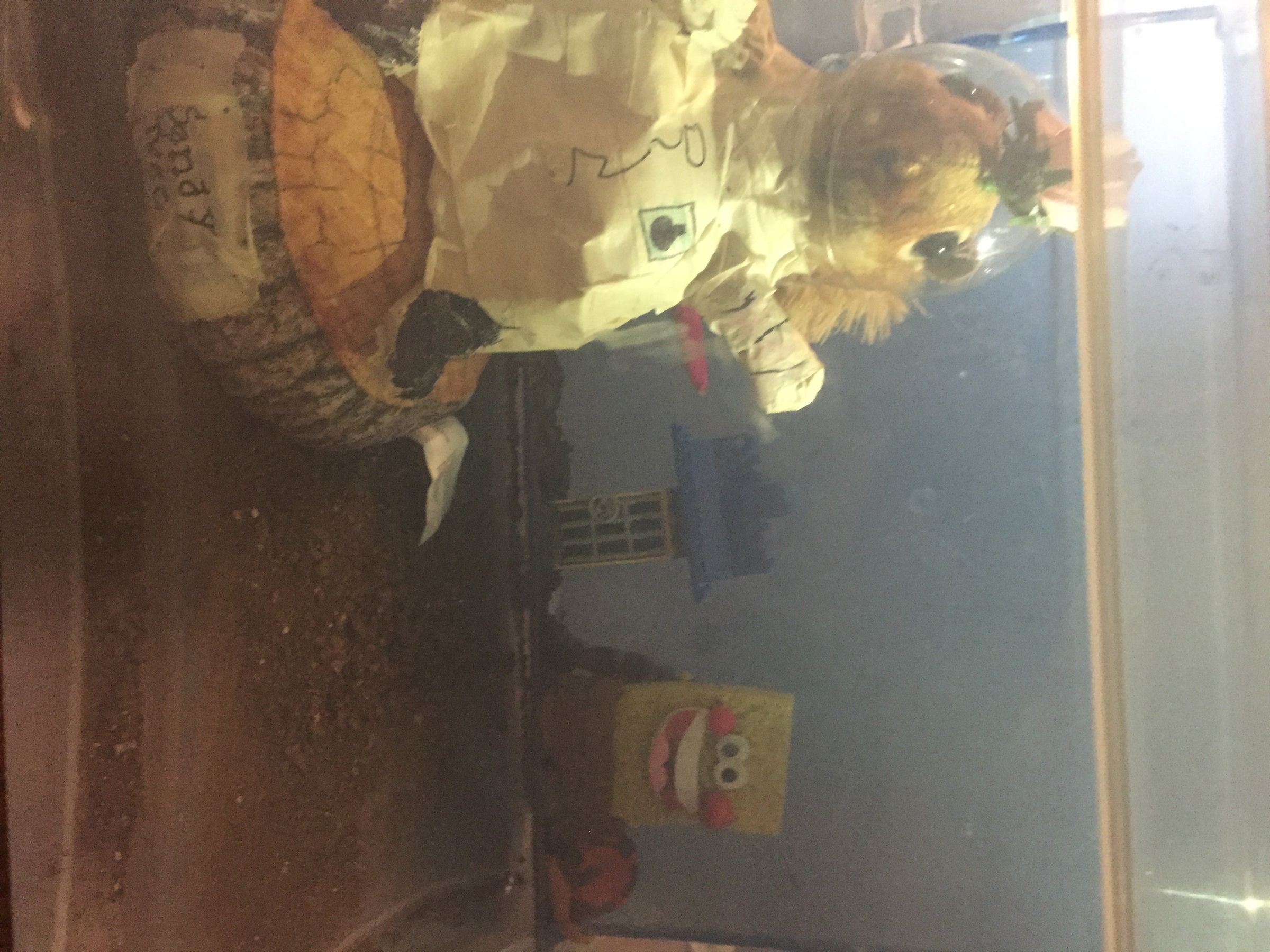 The SpongeBob Tank - Instructables