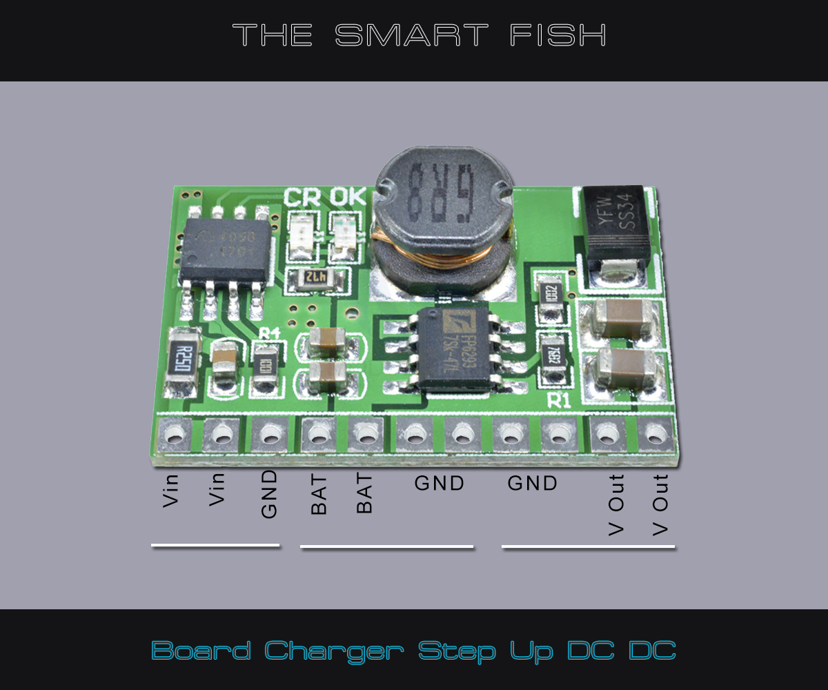 The Smart Fish. Programmable Robot : 21 Steps (with Pictures ...