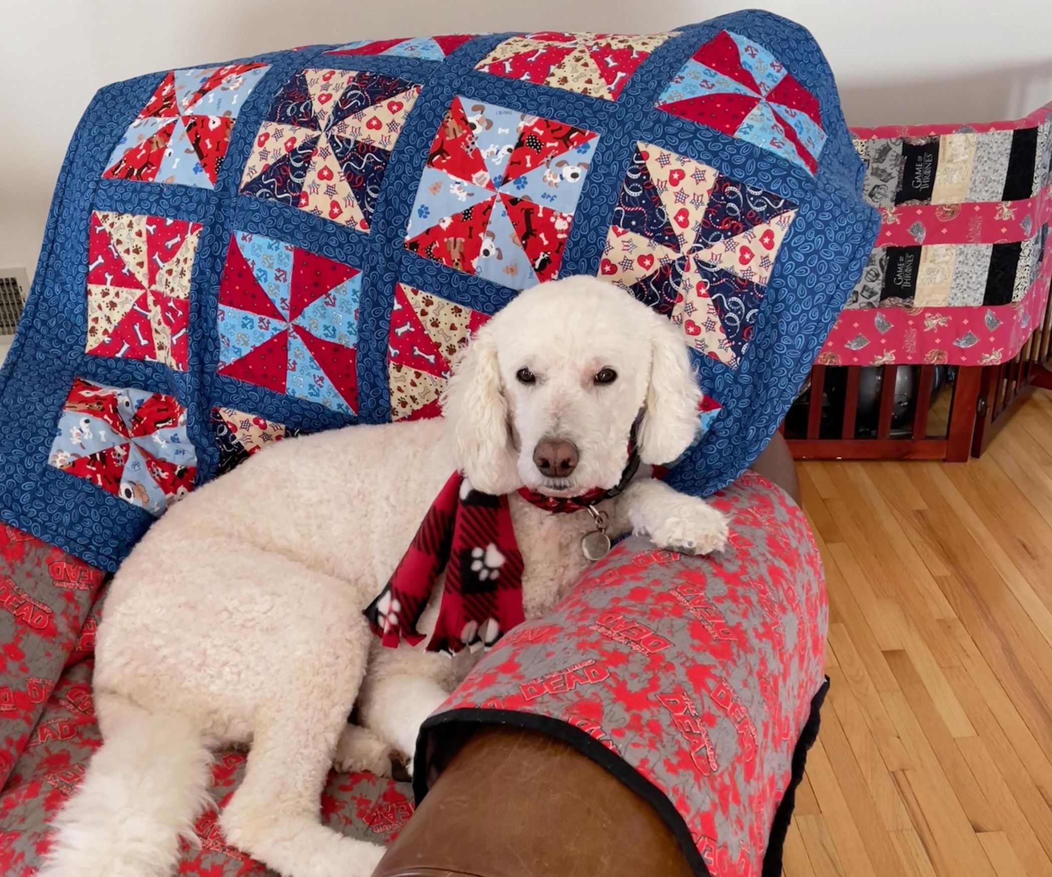 Dog Memory Quilt : 8 Steps (with Pictures) - Instructables