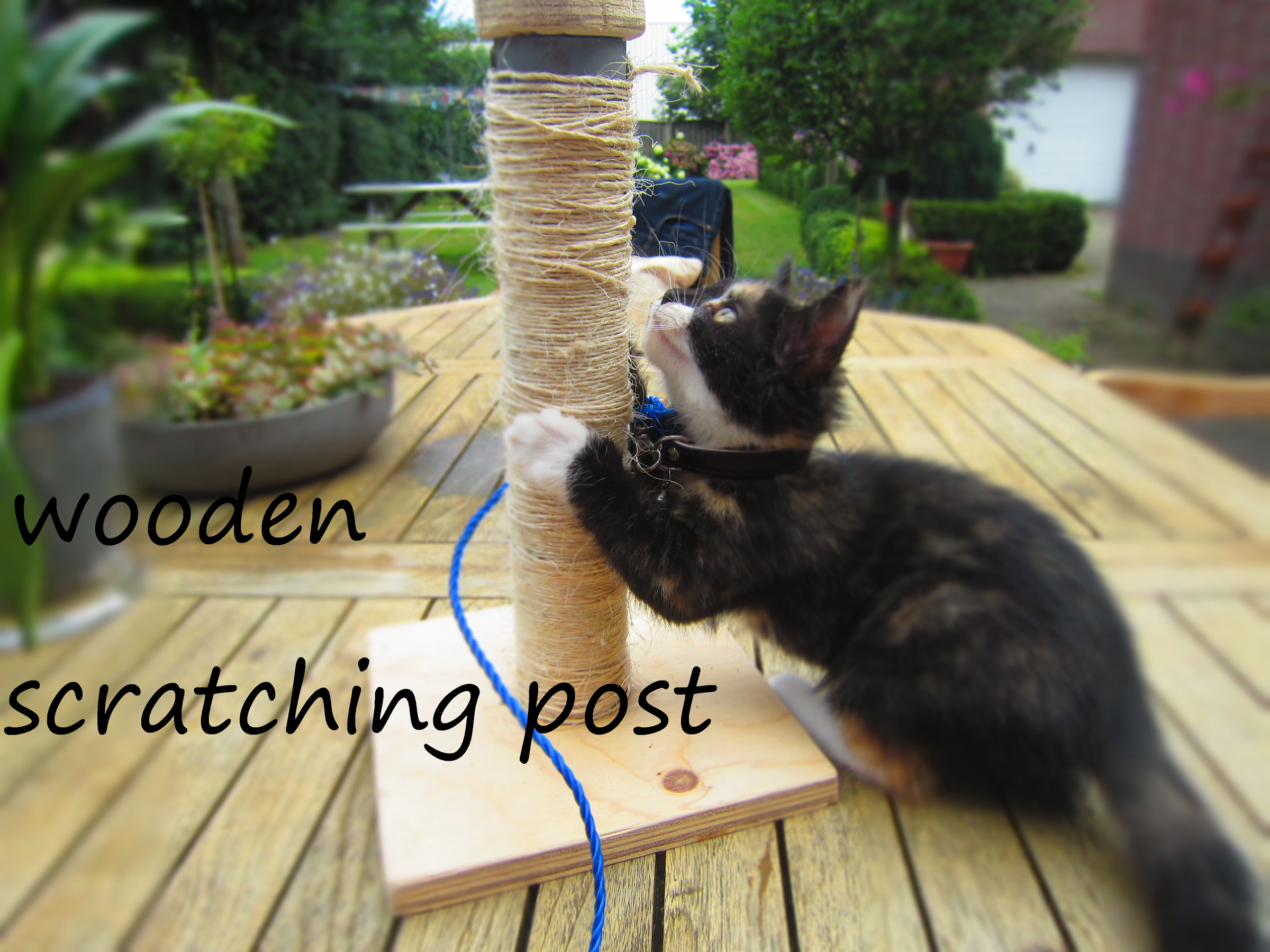 Wooden Scratching Post : 4 Steps (with Pictures) - Instructables