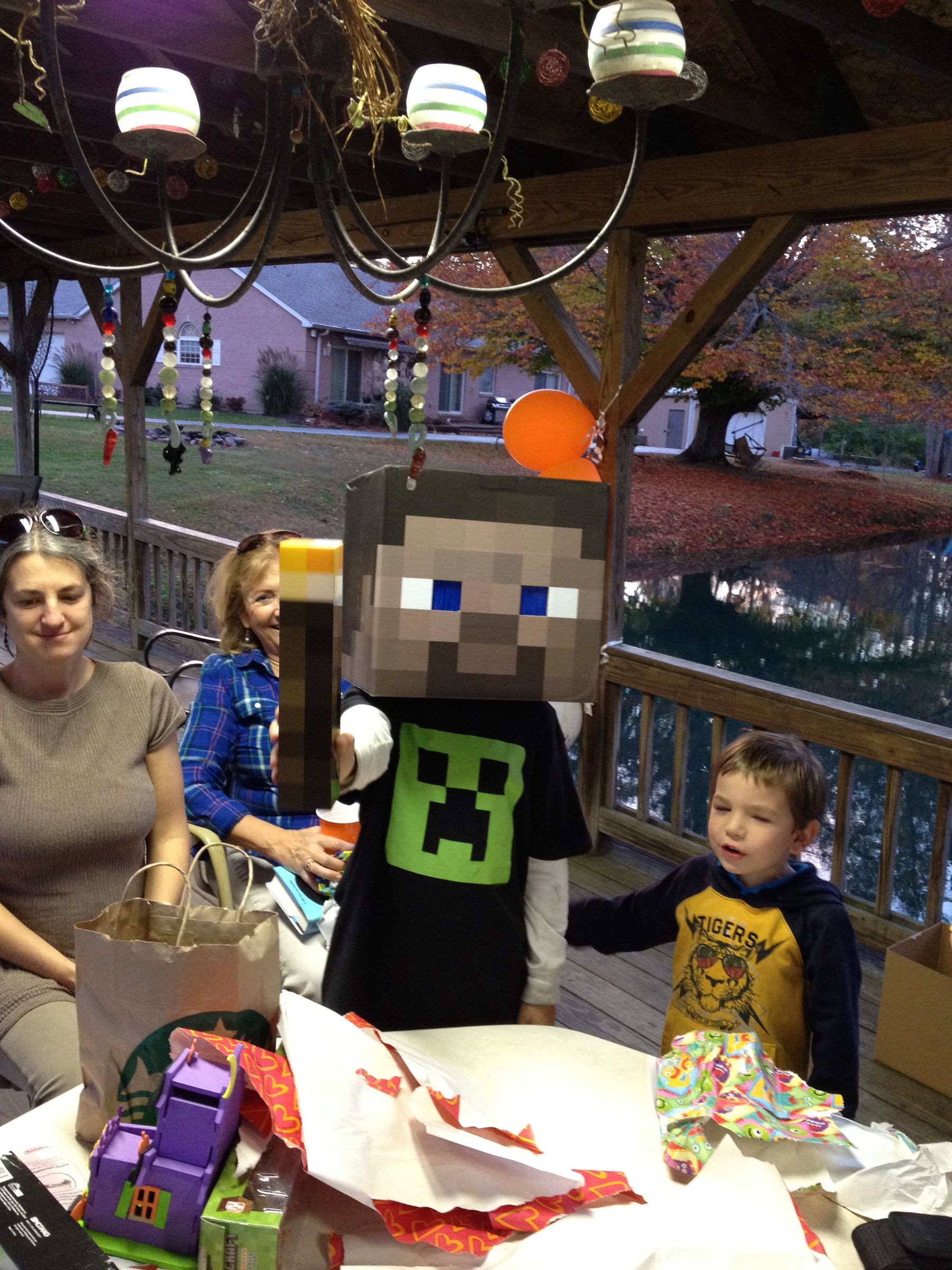 Minecraft Steve Stable Head Build : 10 Steps - Instructables