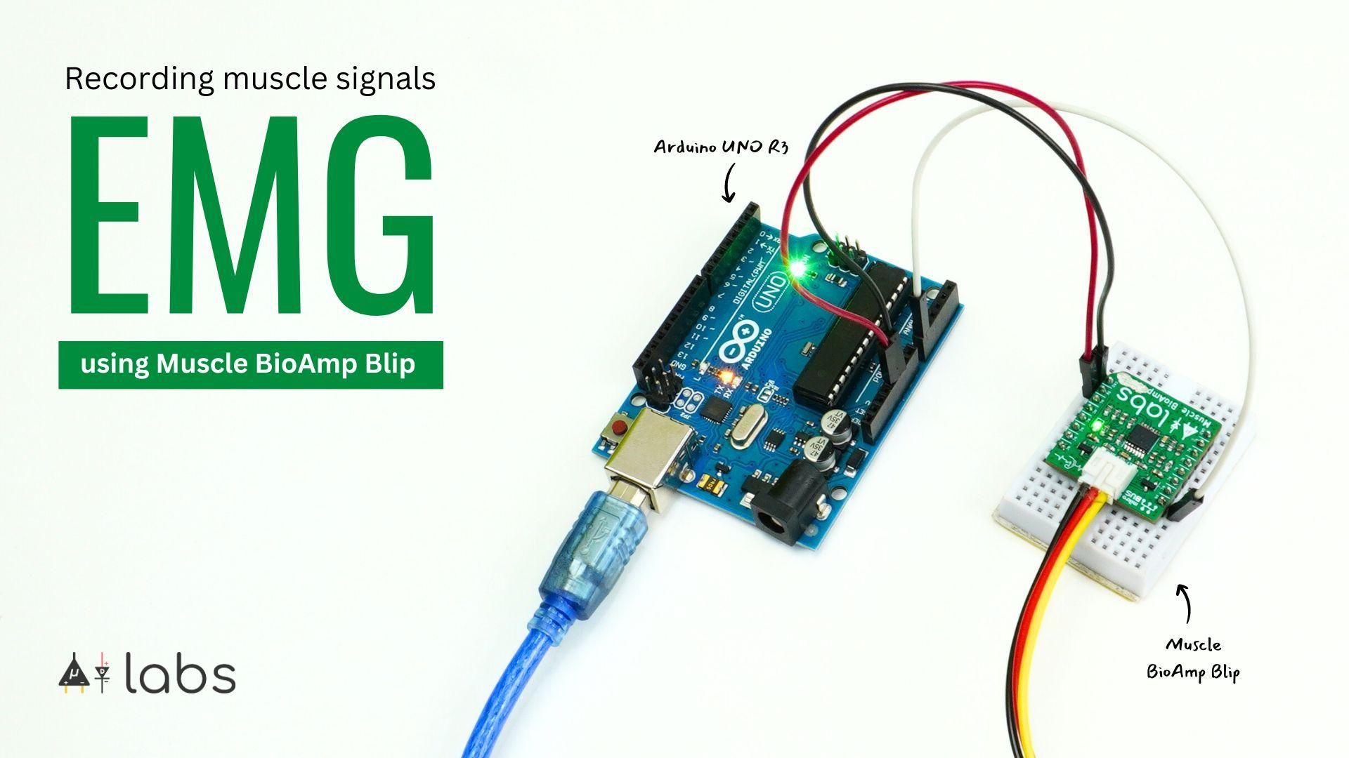 Record Muscle Signals (EMG) Using Muscle BioAmp Blip : 8 Steps - Instructables