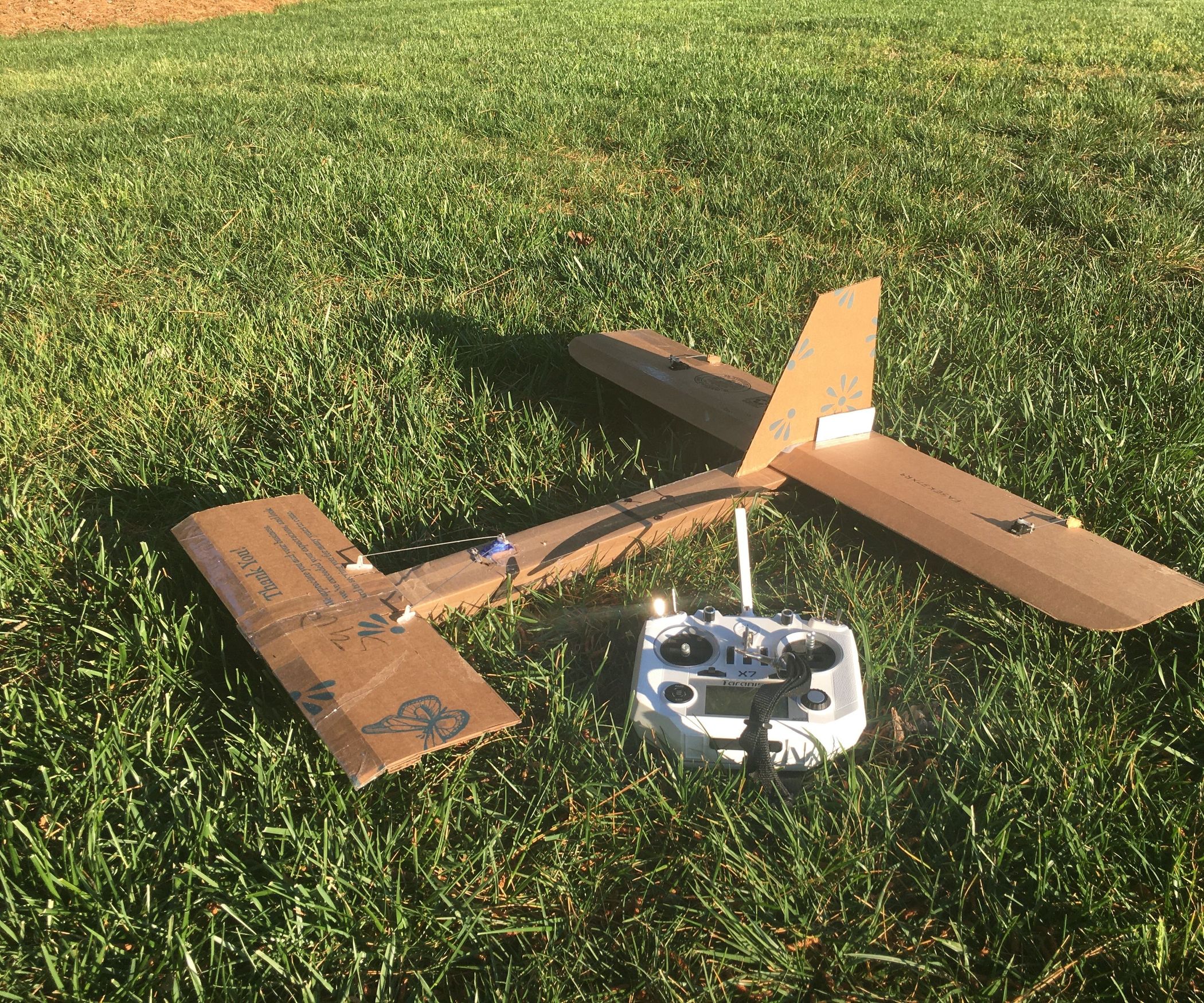 The Cardboard Canard (Canardboard) : 9 Steps (with Pictures ...