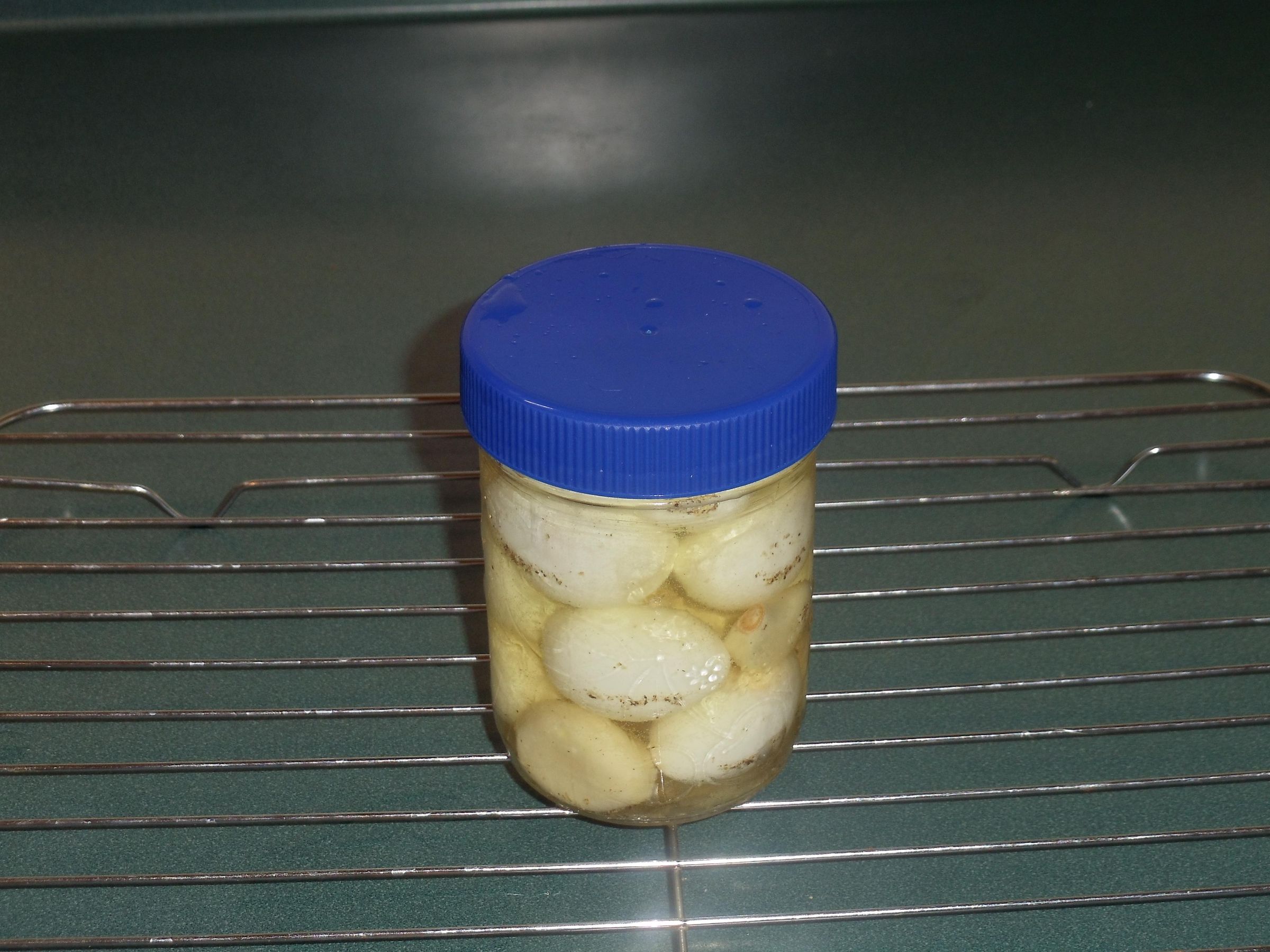 Pickled Quail Eggs : 7 Steps (with Pictures) - Instructables