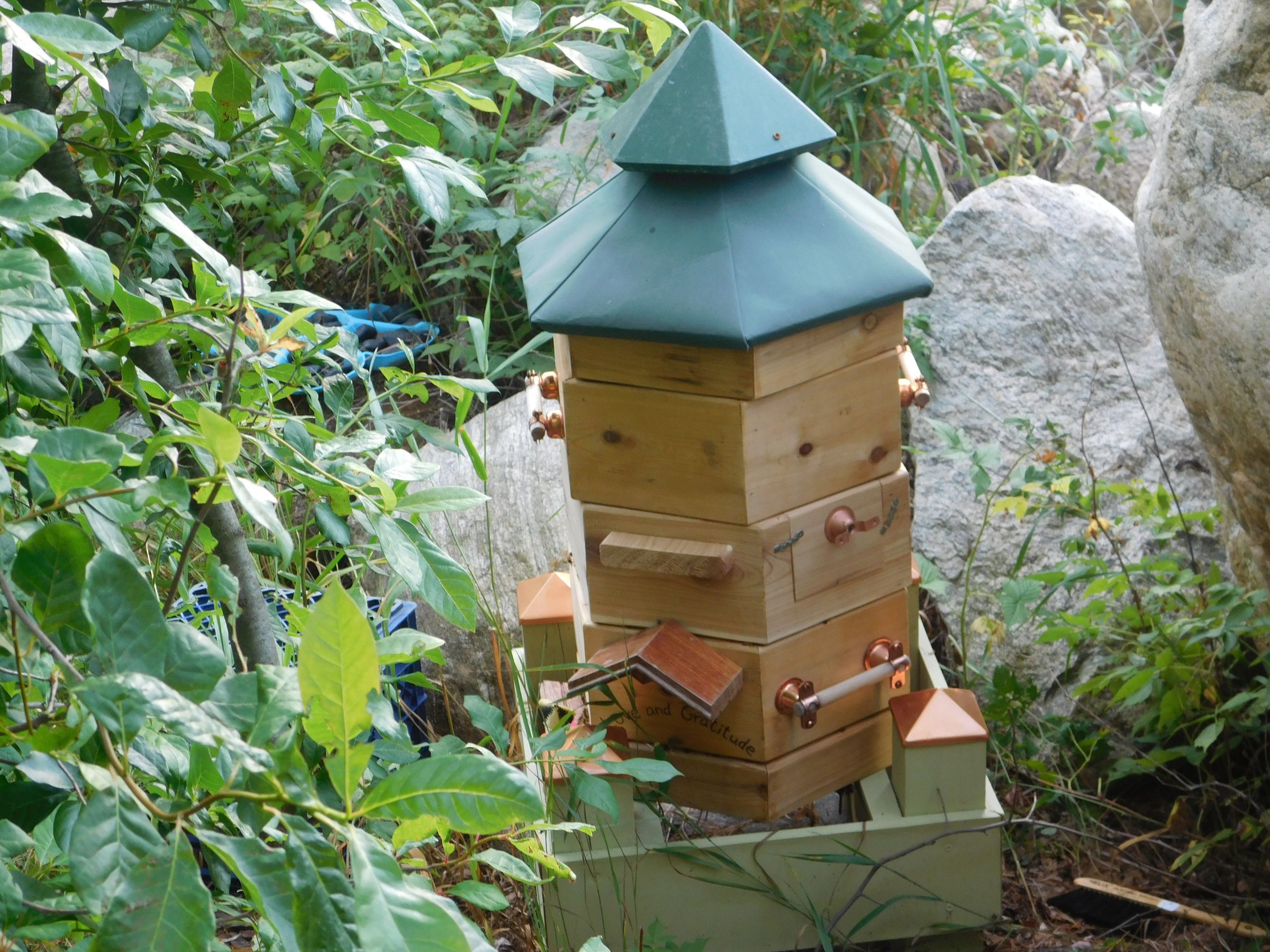 Observation Window for Hexagonal Beehive : 8 Steps (with Pictures ...