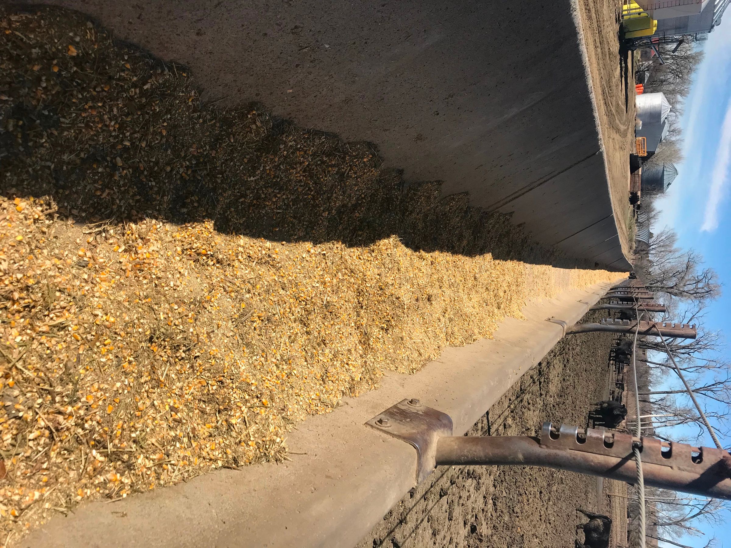 Feeding Cattle : 3 Steps - Instructables