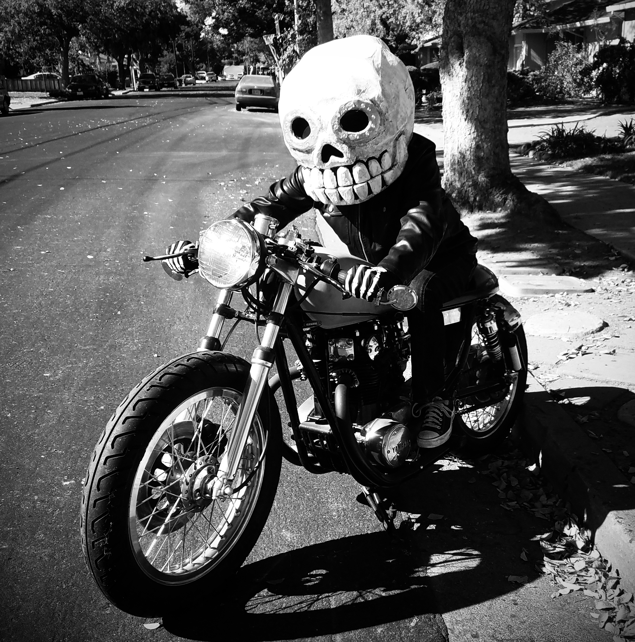 Paper Mache Skull : 6 Steps (with Pictures) - Instructables