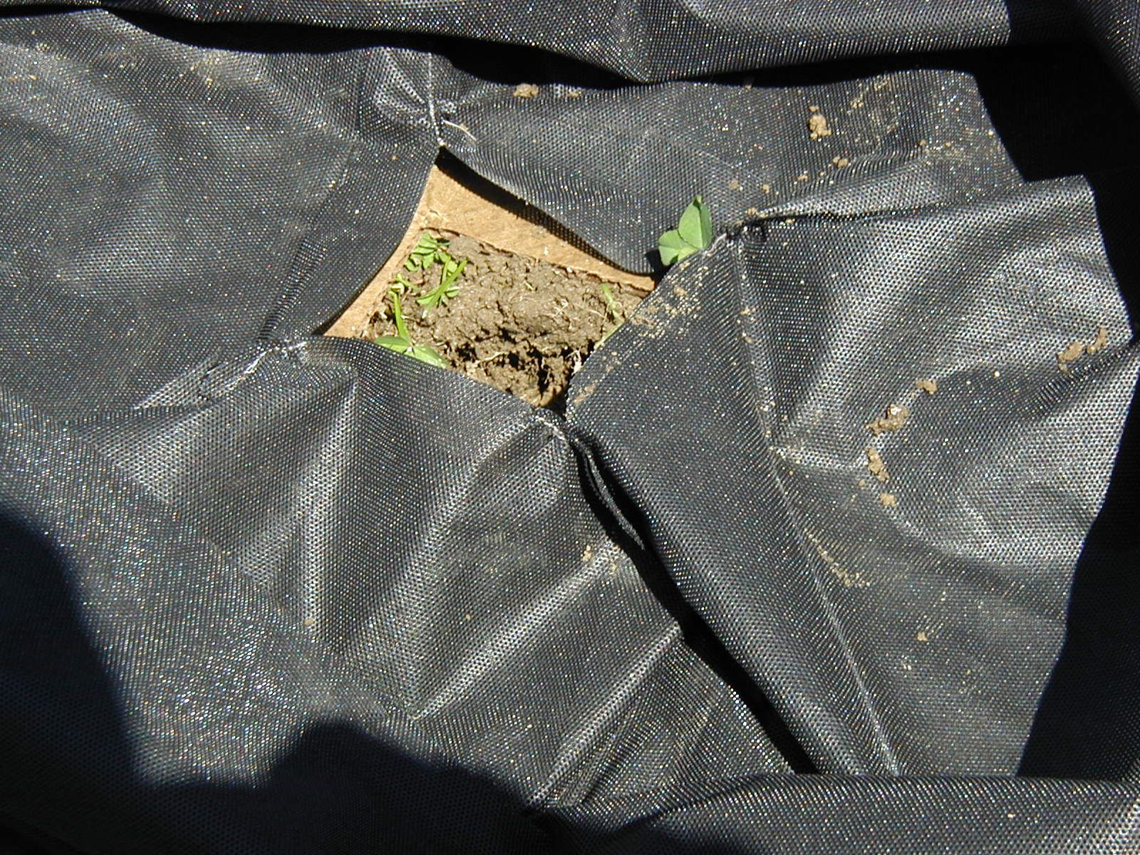 Tater Totes: Potato Grow Bags : 7 Steps (with Pictures) - Instructables
