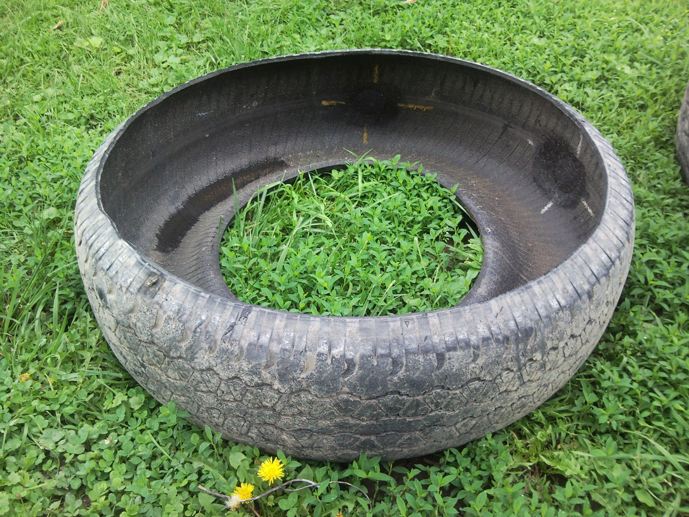 Used Tired Raised Garden & Tree Ring : 6 Steps (with Pictures ...