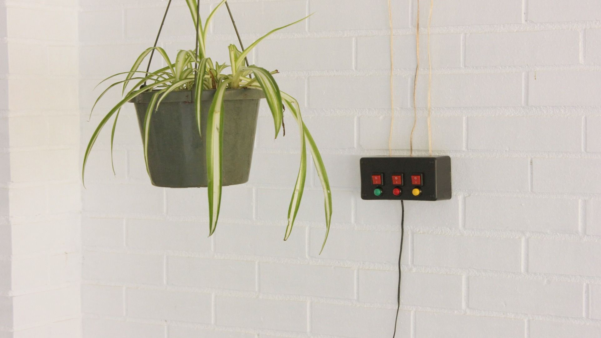 Motorized System for Raising and Lowering Hanging Plants : 13 Steps ...