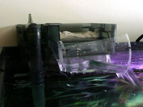 How to Awesome-ize Your HOB Power Filter With Just a Plastic Cup : 10 ...